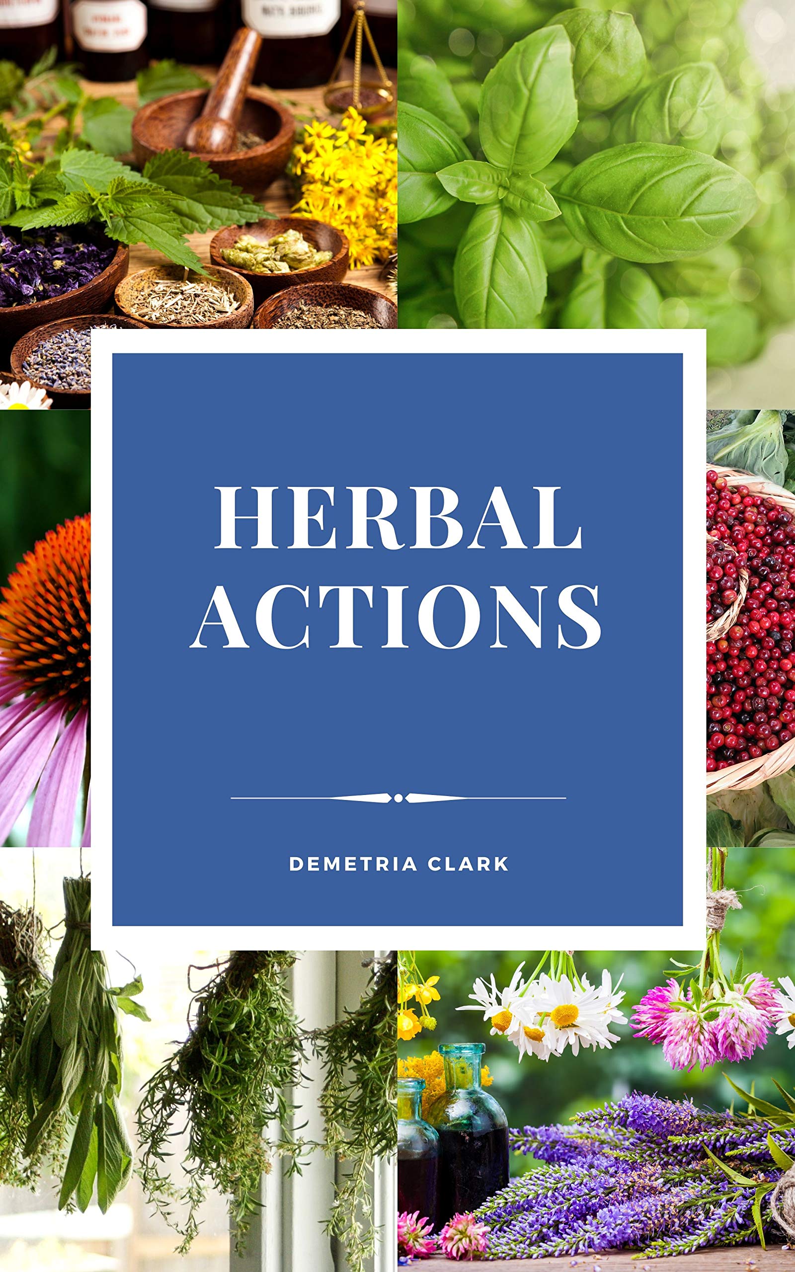 Herbal Actions: Heart of Herbs Herbal School Herbal Guides (Volume 2 ...