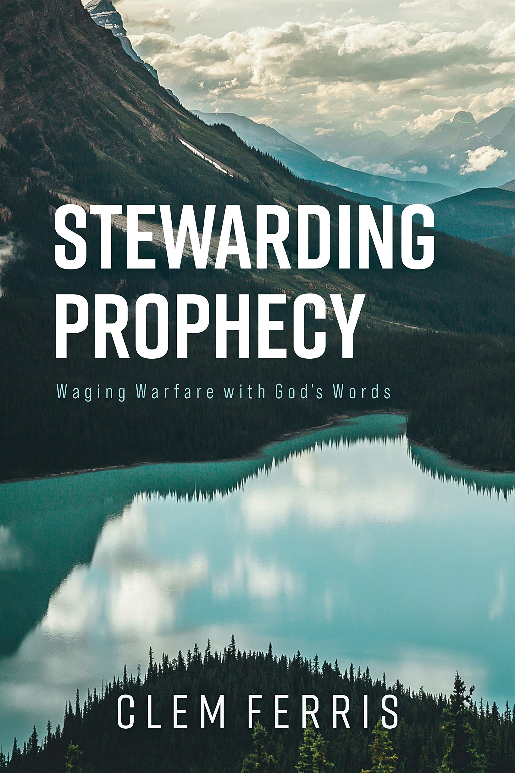 Stewarding Prophecy: Waging Warfare With God's Word by Clem Ferris ...