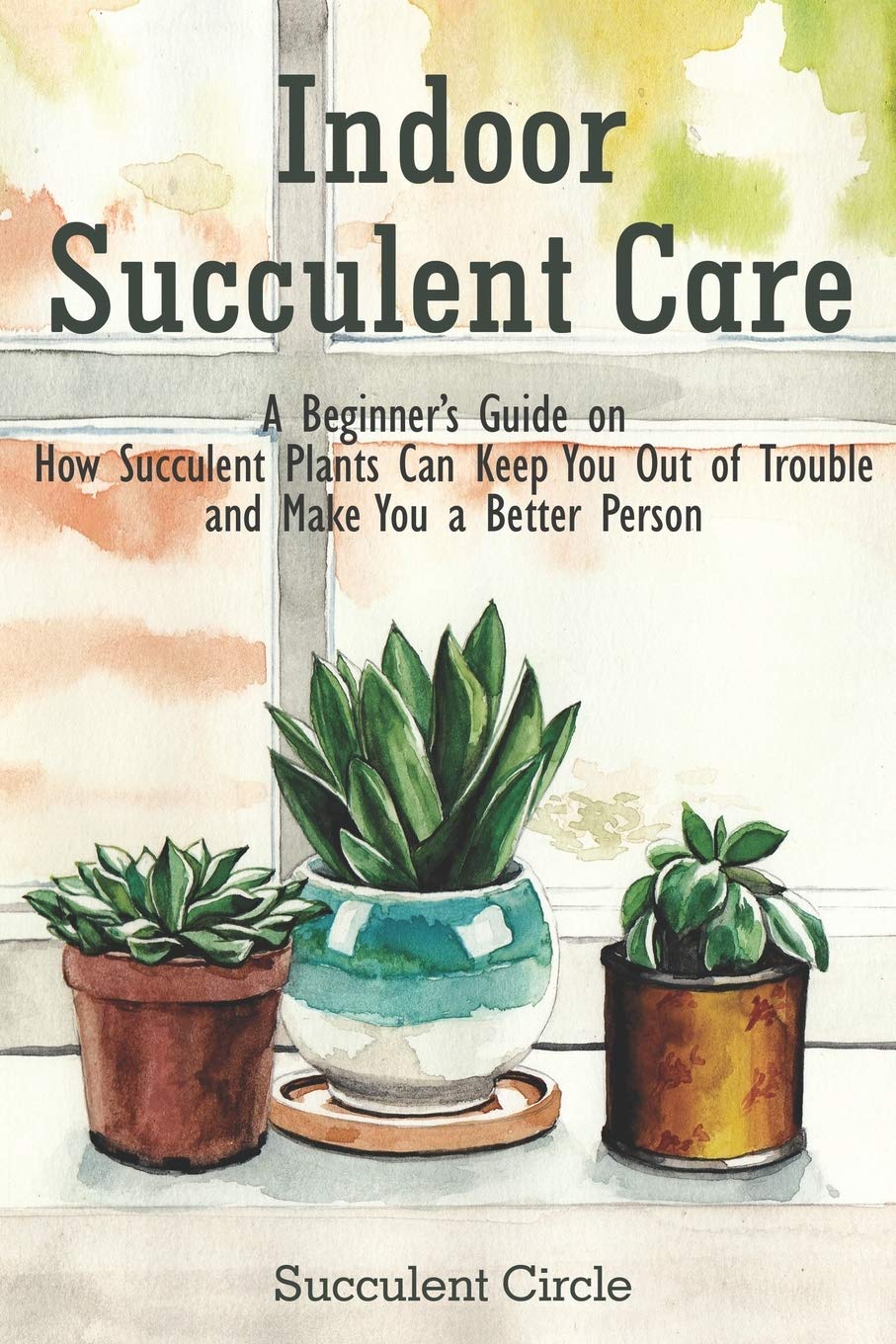 Indoor Succulent Care: A Beginner's Guide on How Succulent Plants Can ...