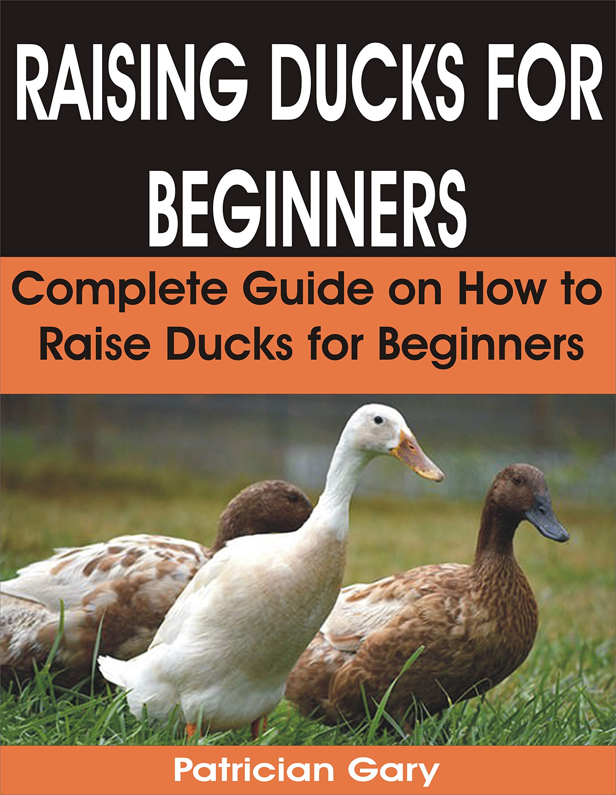 RAISING DUCKS FOR BEGINNERS: Complete Guide on How to Raise Ducks for Beginners by Patrician ...