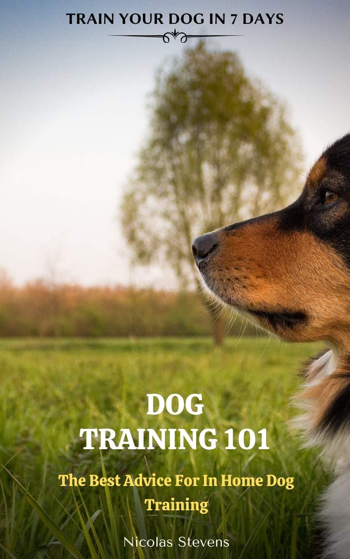 Dog Training 101: The Best Advice For In Home Dog Training by Nicolas ...