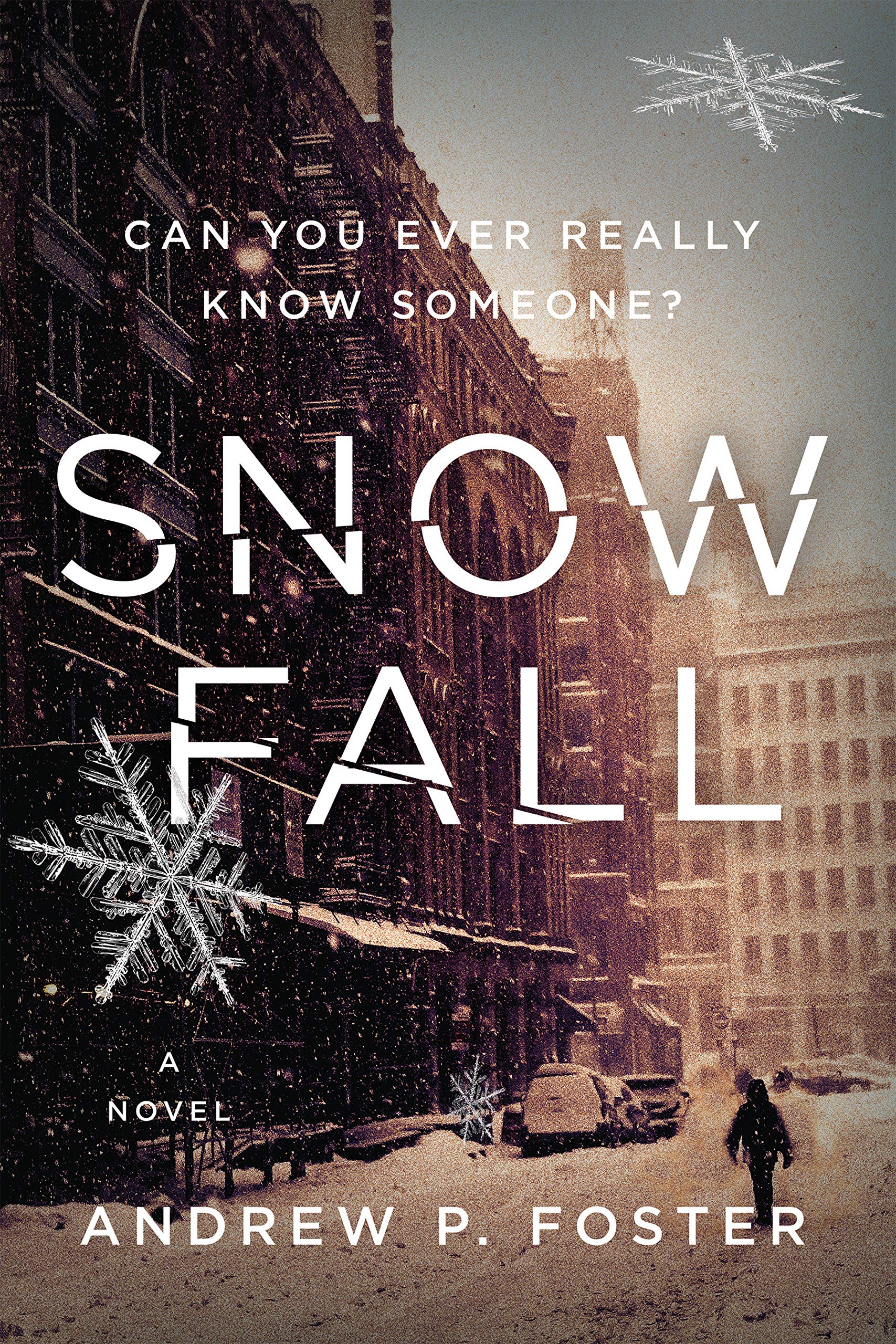 Snow Fall (The New York Quartet Book 1) by Andrew P. Foster | Goodreads