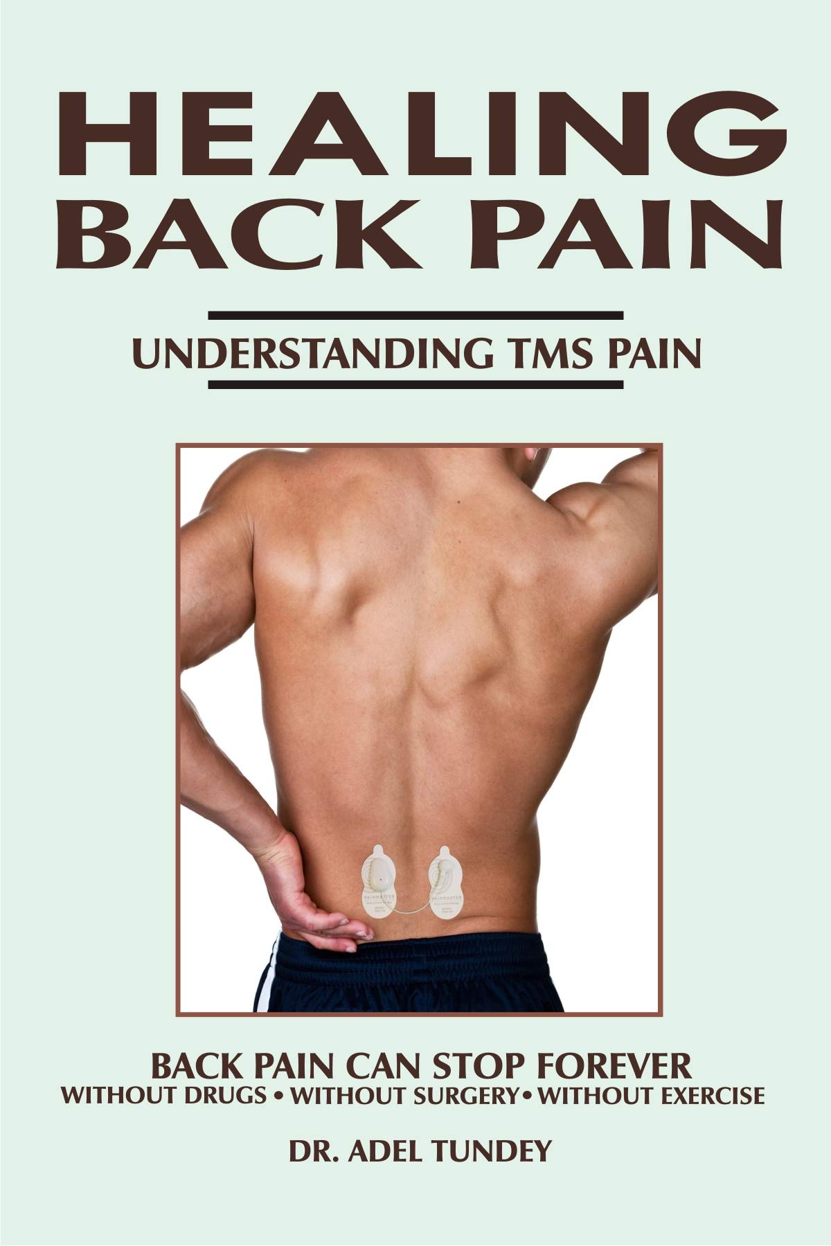 Healing Back Pain: Understanding TMS Pain: Back Pain can Stop Forever ...