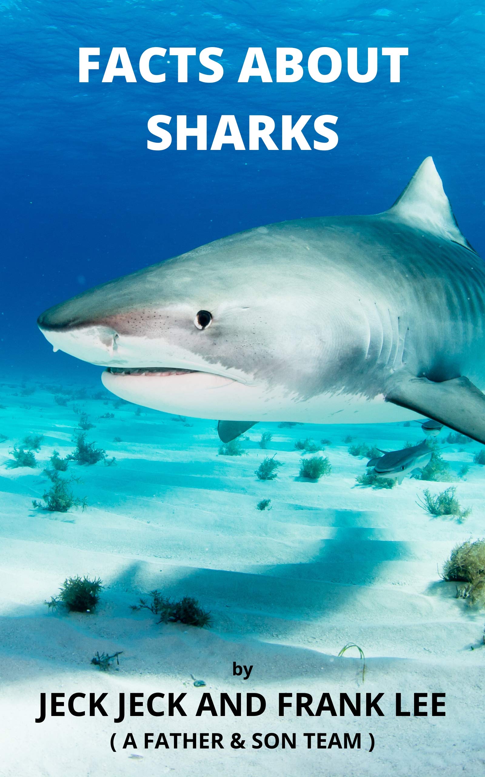 FACTS ABOUT SHARKS: A Children's Book About Sharks With Real Photos for ...