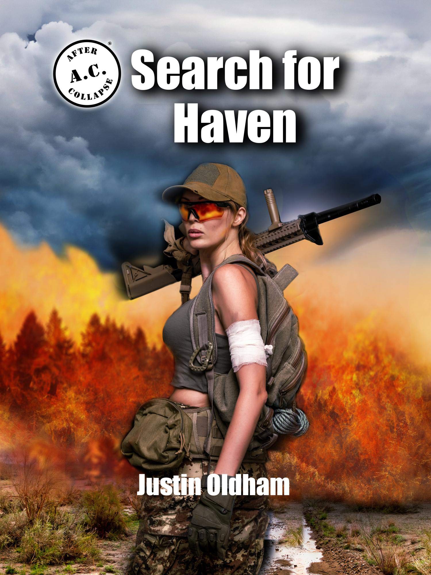 Search for Haven by Justin Oldham | Goodreads