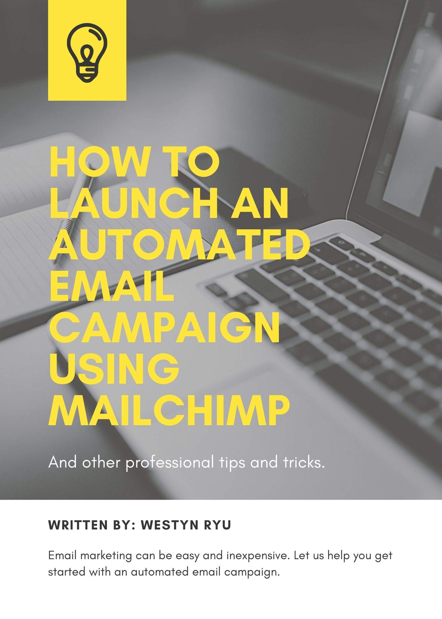 How to launch an automated email campaign using Mailchimp.: Including professional tips and ...
