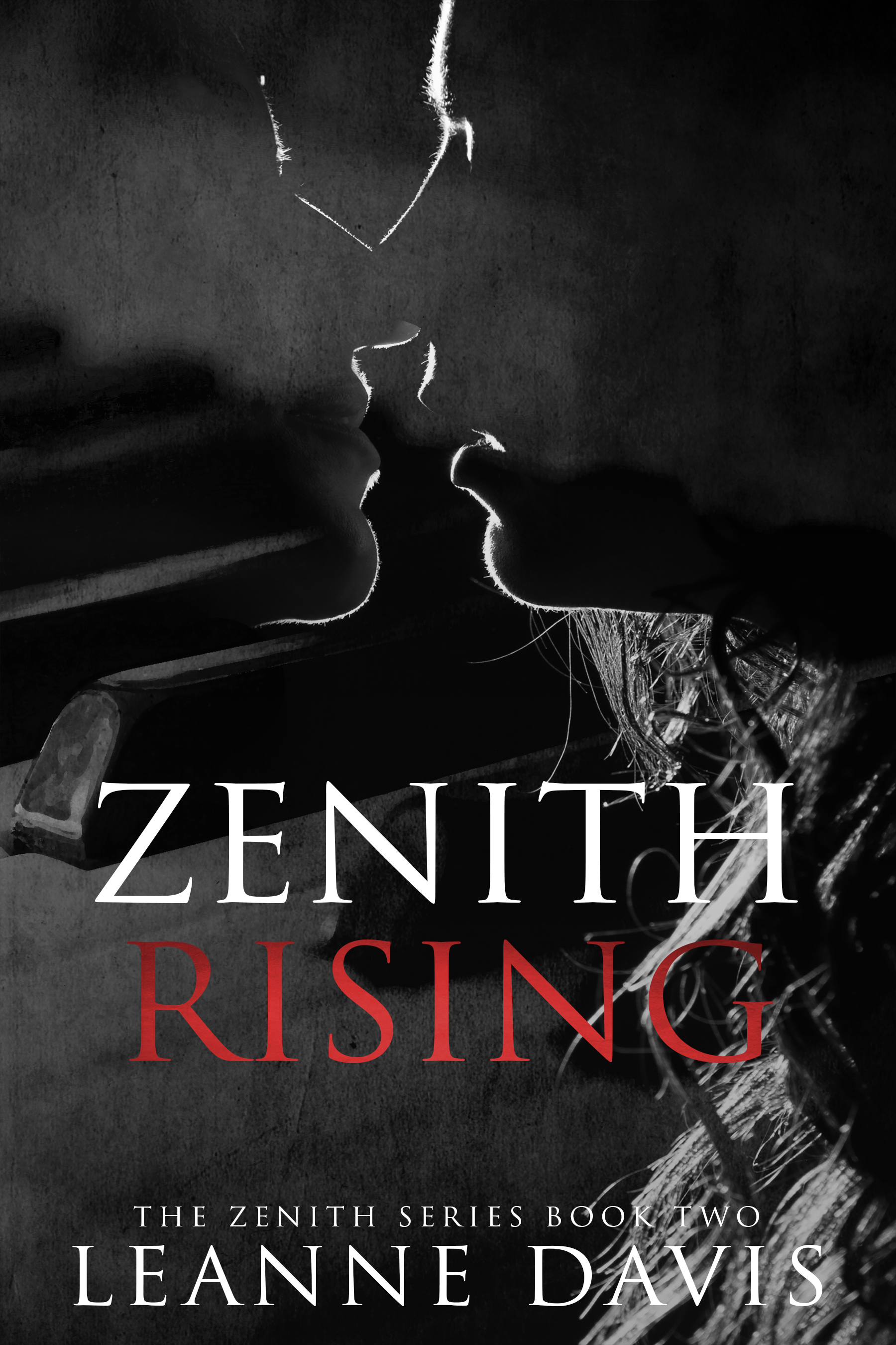 Zenith Rising (Zenith Series, #2) by Leanne Davis | Goodreads