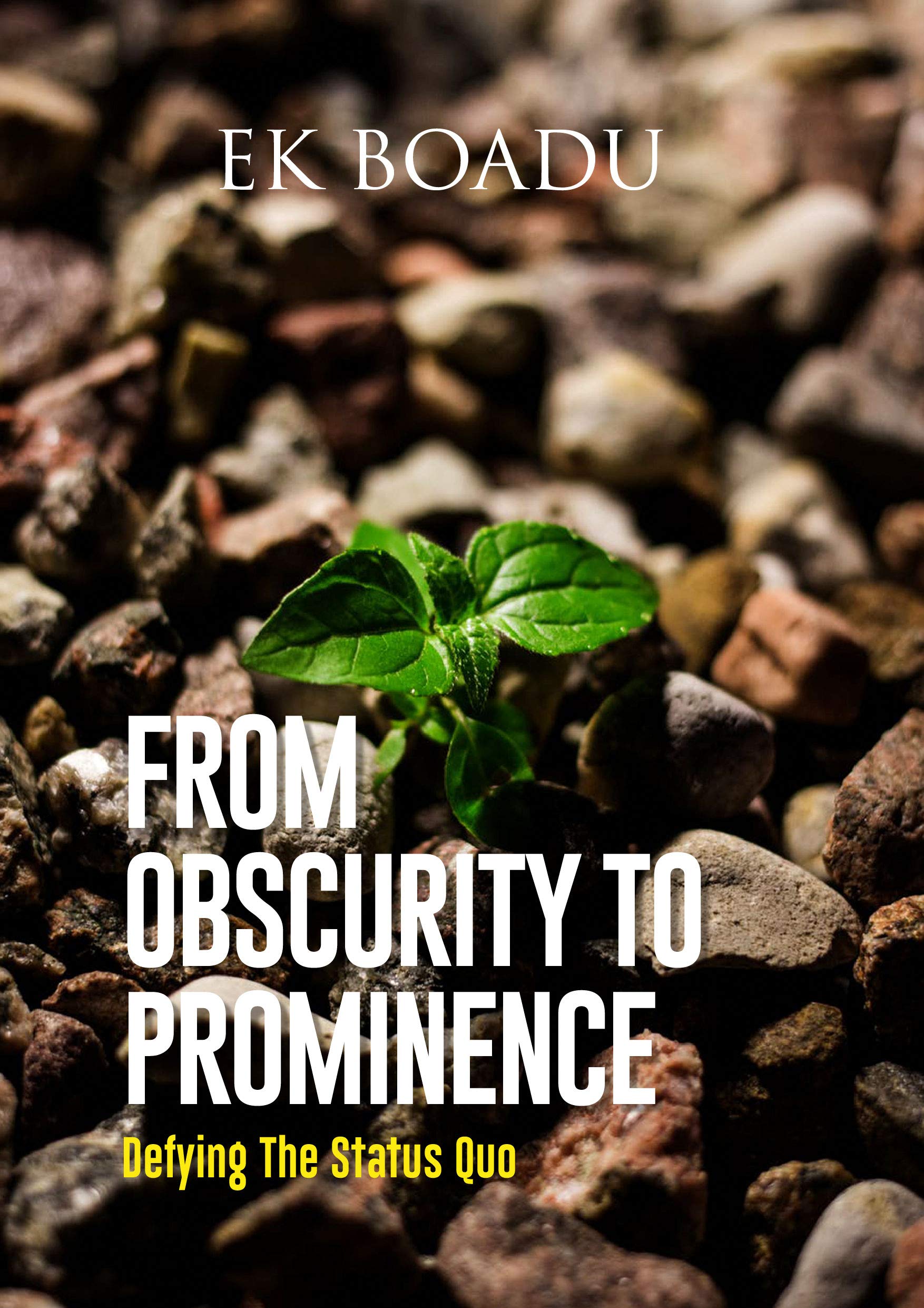 FROM OBSCURITY TO PROMINENCE by EK BOADU | Goodreads