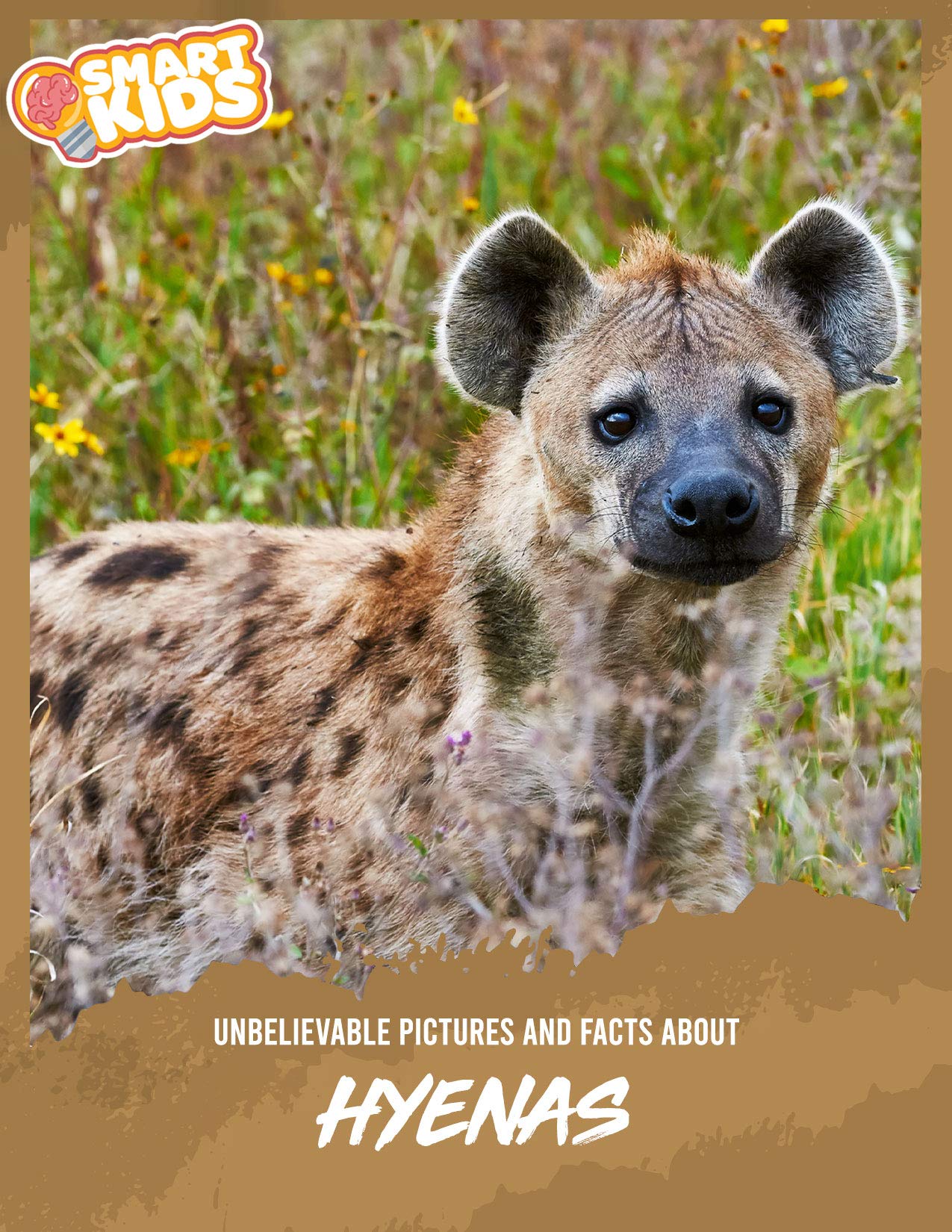 Unbelievable Pictures and Facts About Hyenas by Olivia Greenwood ...