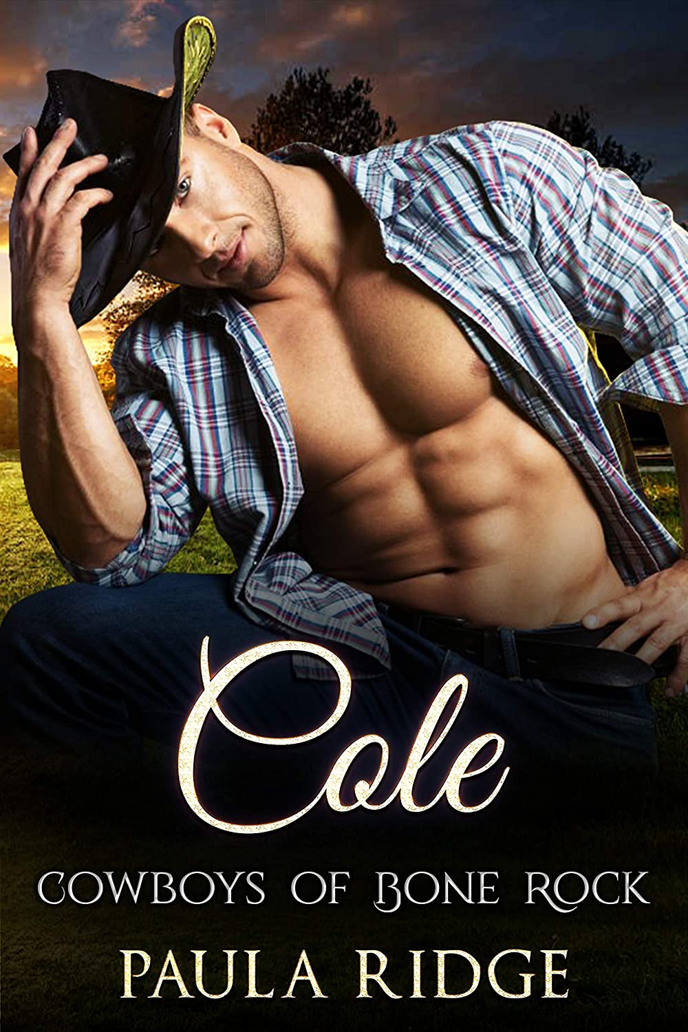 Cole (Cowboys of Bone Rock #5) by Paula Ridge | Goodreads