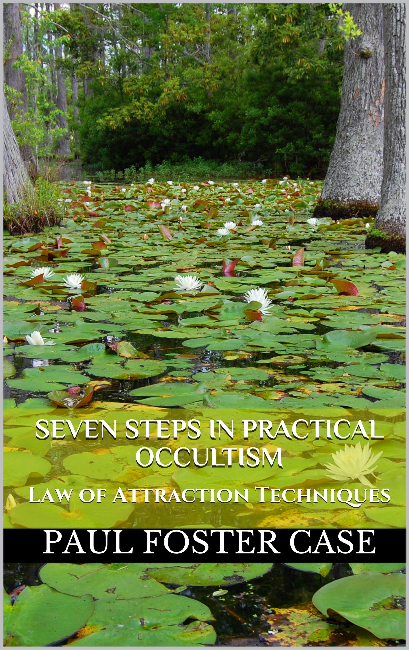 Seven Steps in Practical Occultism: Law of Attraction Techniques by ...