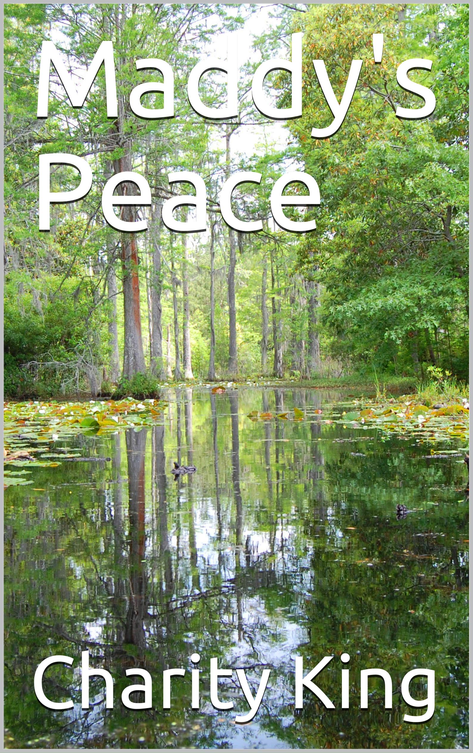 Maddy's Peace (Axle Investigations Book 1) by Charity King | Goodreads