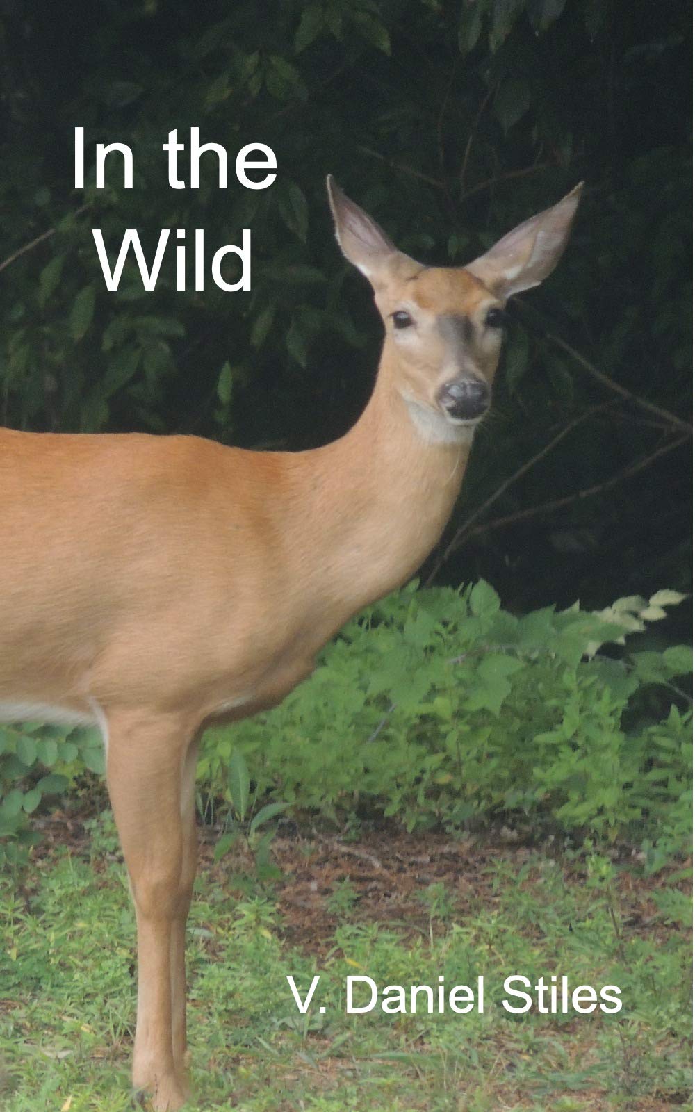 In the Wild by Daniel Stiles | Goodreads