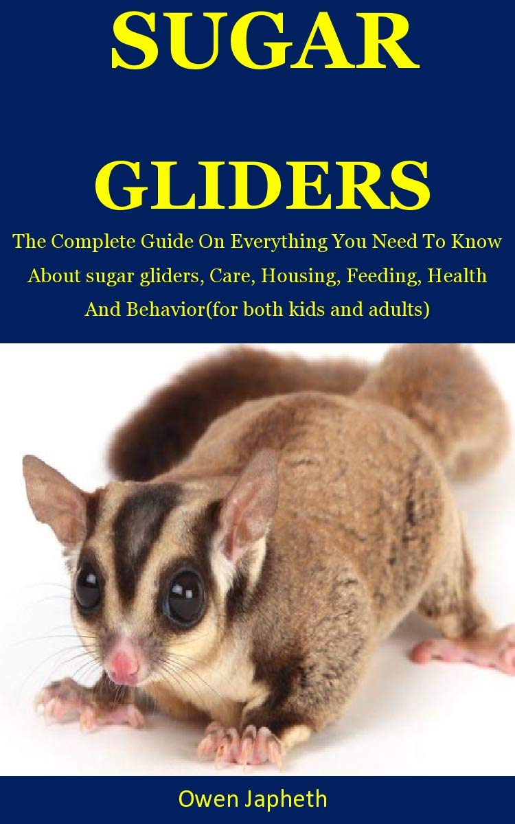Sugar Glider: The Complete Guide On Everything You Need To Know About ...