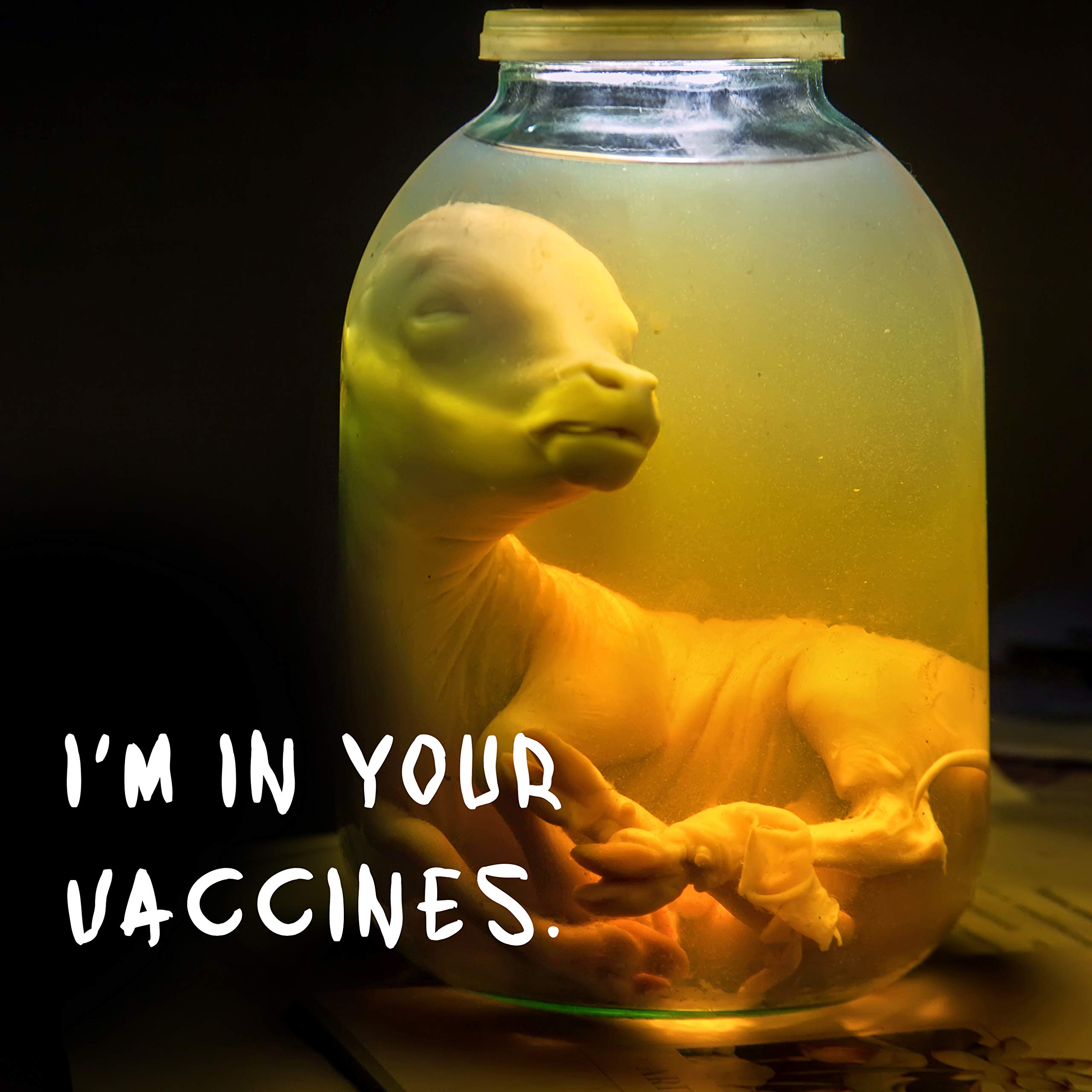 I'm In Your Vaccines by Adam Ringham | Goodreads