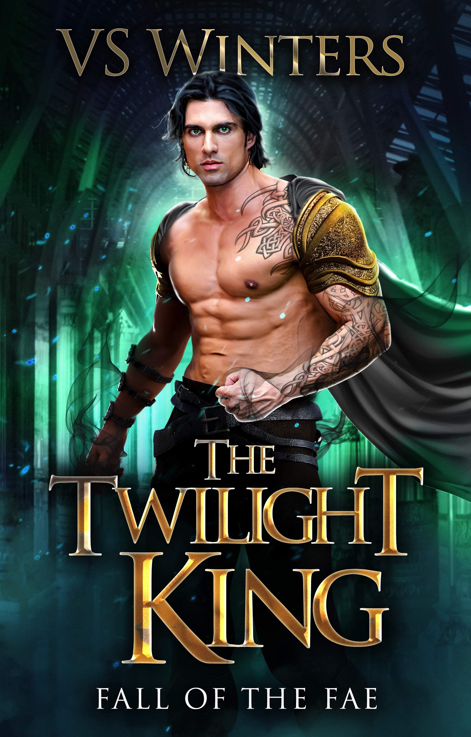 The Twilight King (Fall of The Fae, #1) by V.S. Winters | Goodreads