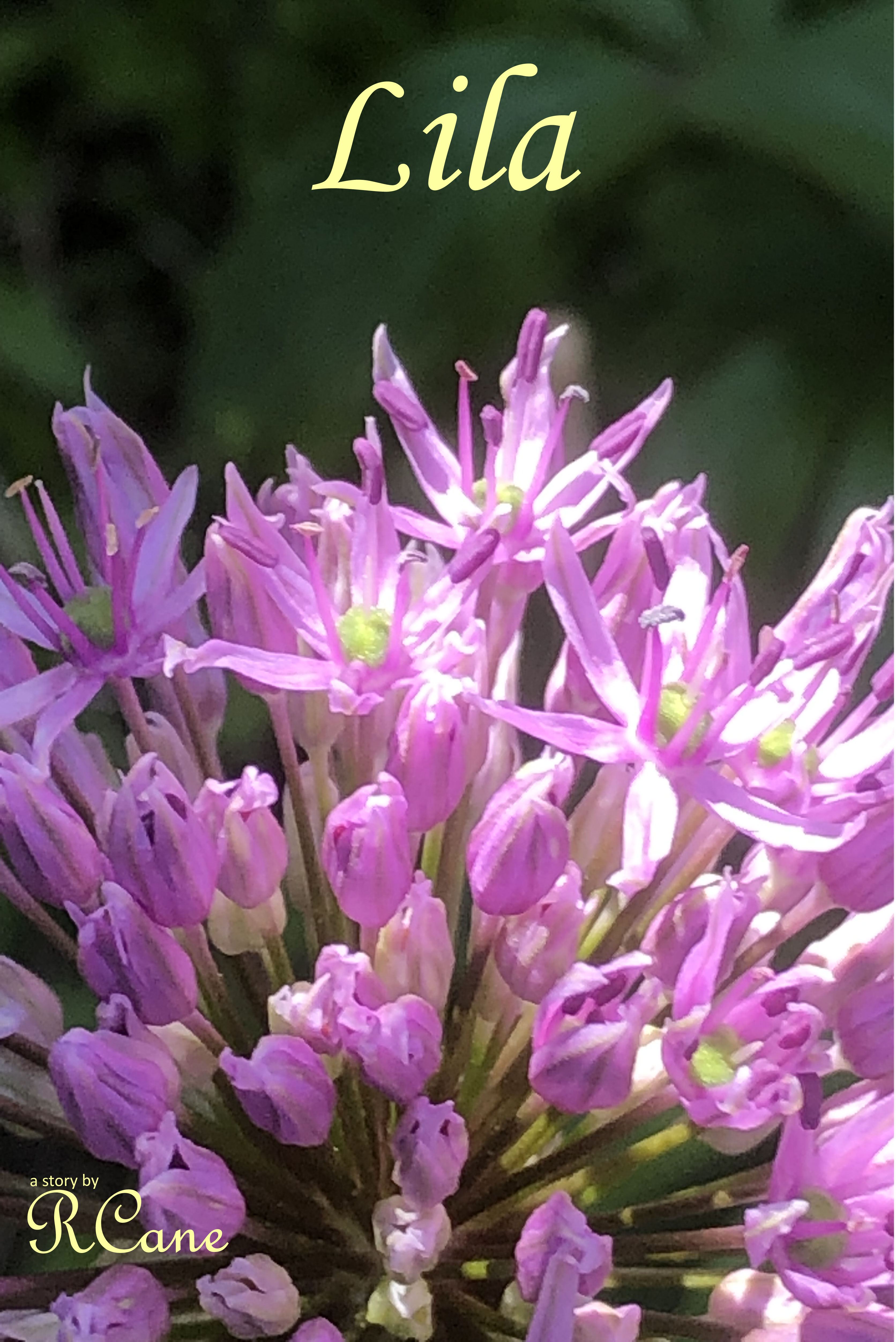 lila by R. Cane | Goodreads