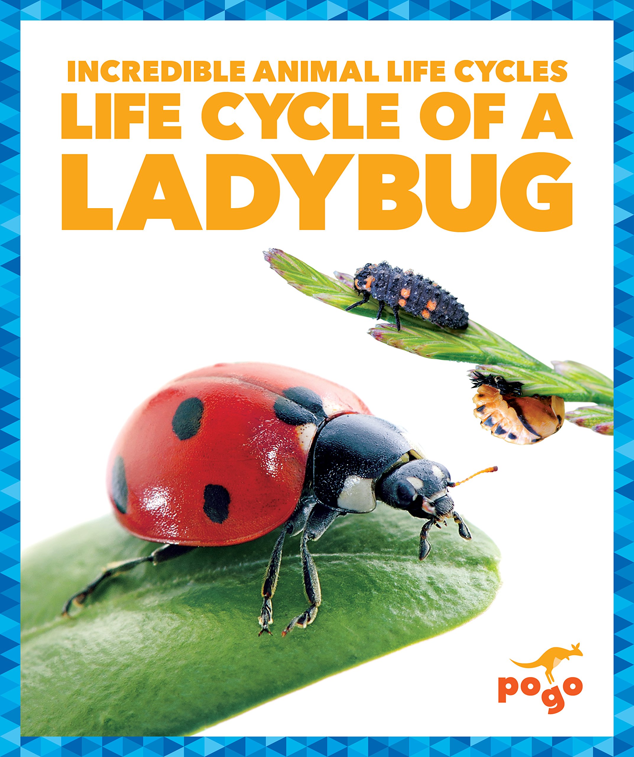 Life Cycle of a Ladybug by Karen Latchana Kenney | Goodreads