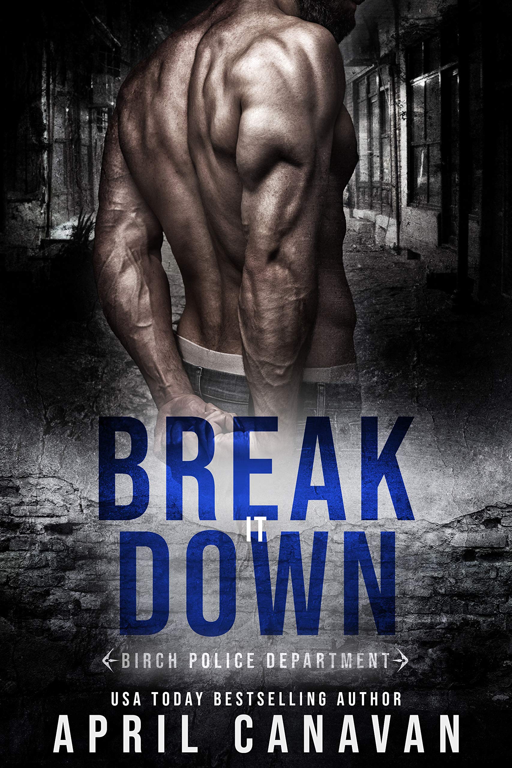 Break it Down (Birch Police Department, #4) by Rue Lennox | Goodreads