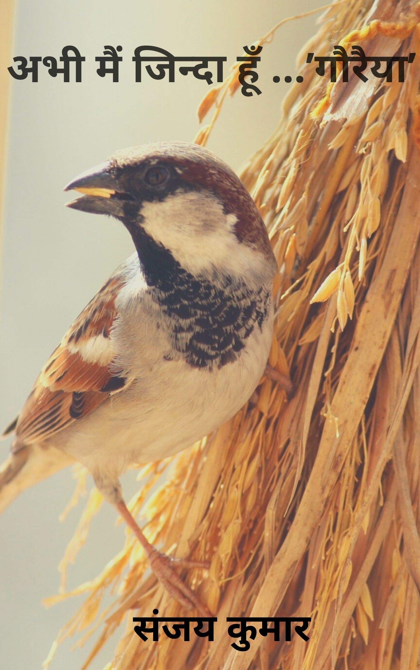 Abhi Main Zinda Hoon ... 'Gauraiya": I Am Still Alive ... 'Sparrow' by ...