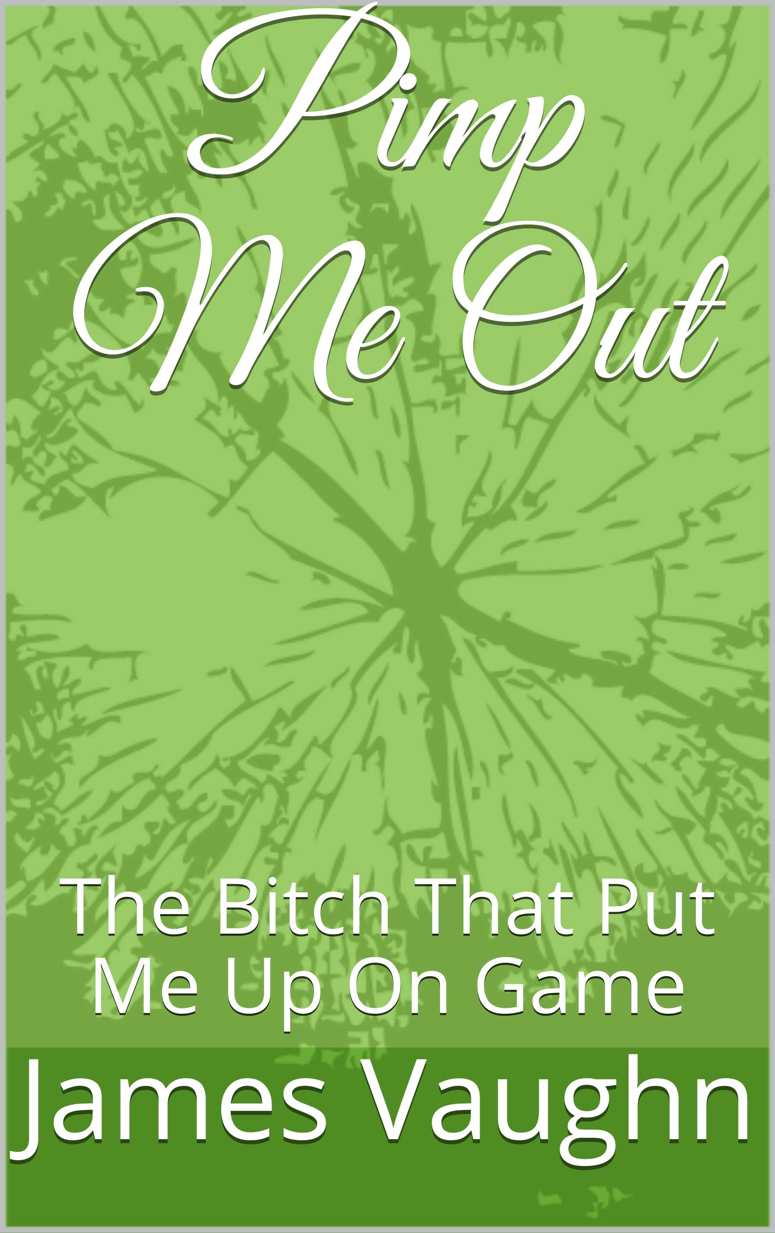 Pimp Me Out: The Bitch That Put Me Up On Game by James Vaughn | Goodreads