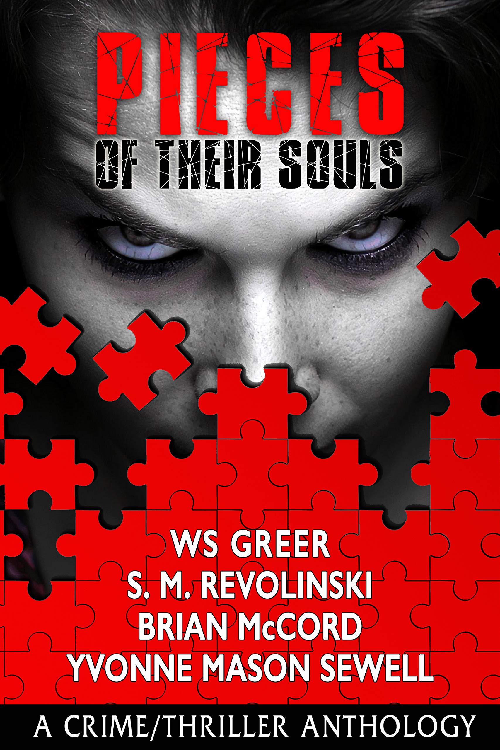 Pieces Of Their Souls by W.S. Greer | Goodreads