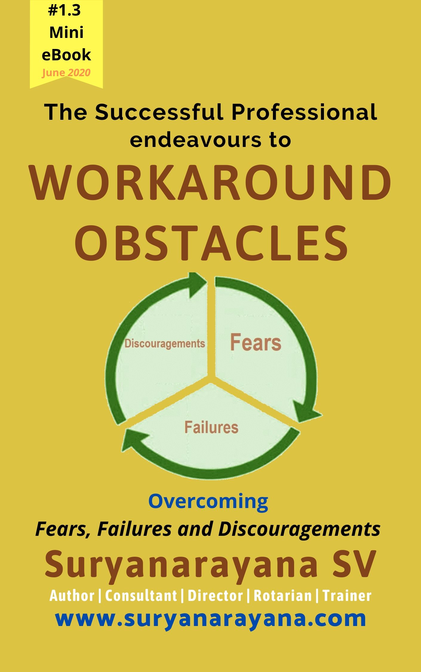 The Successful Professional endeavours to WORKAROUND OBSTACLES: Overcoming Fears, Failures and ...