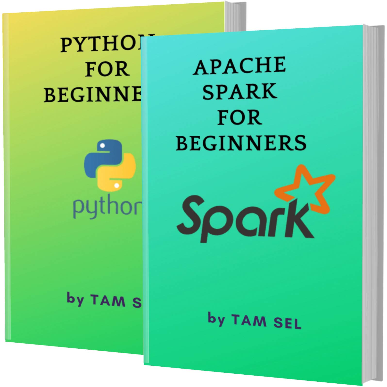APACHE SPARK AND PYTHON FOR BEGINNERS 2 BOOKS IN 1 Learn Coding Fast