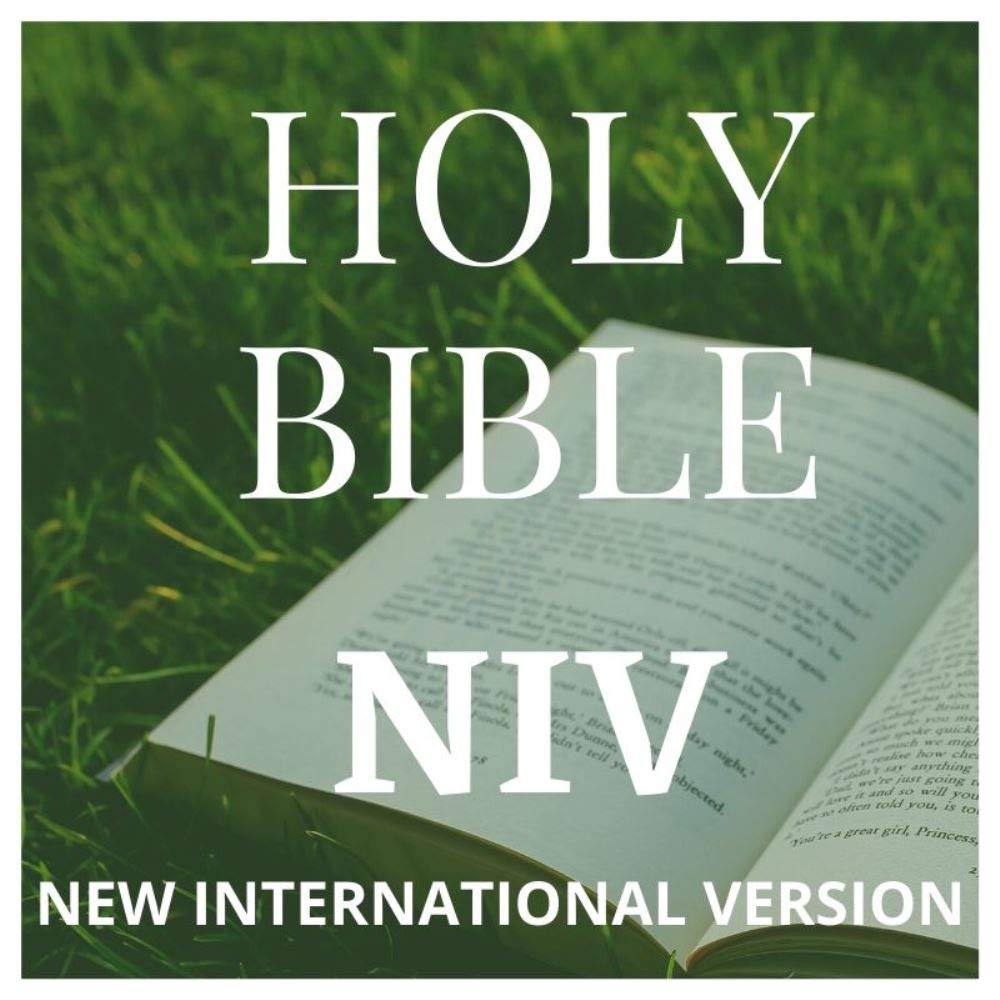 NIV Holy Bible, New International Version by Anonymous | Goodreads