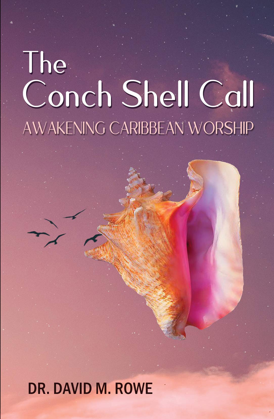 The Conch Shell Call: Awakening Caribbean Worship by Dr. David M. Rowe ...