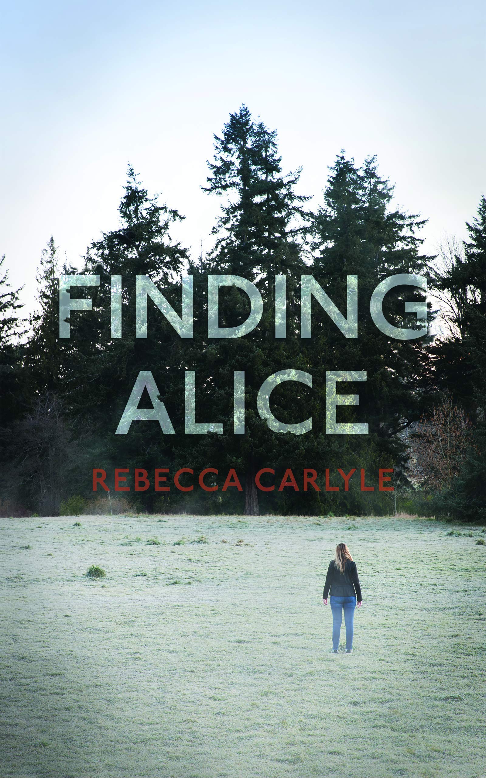 Finding Alice (Miller Mysteries Book 1) by Rebecca Carlyle | Goodreads