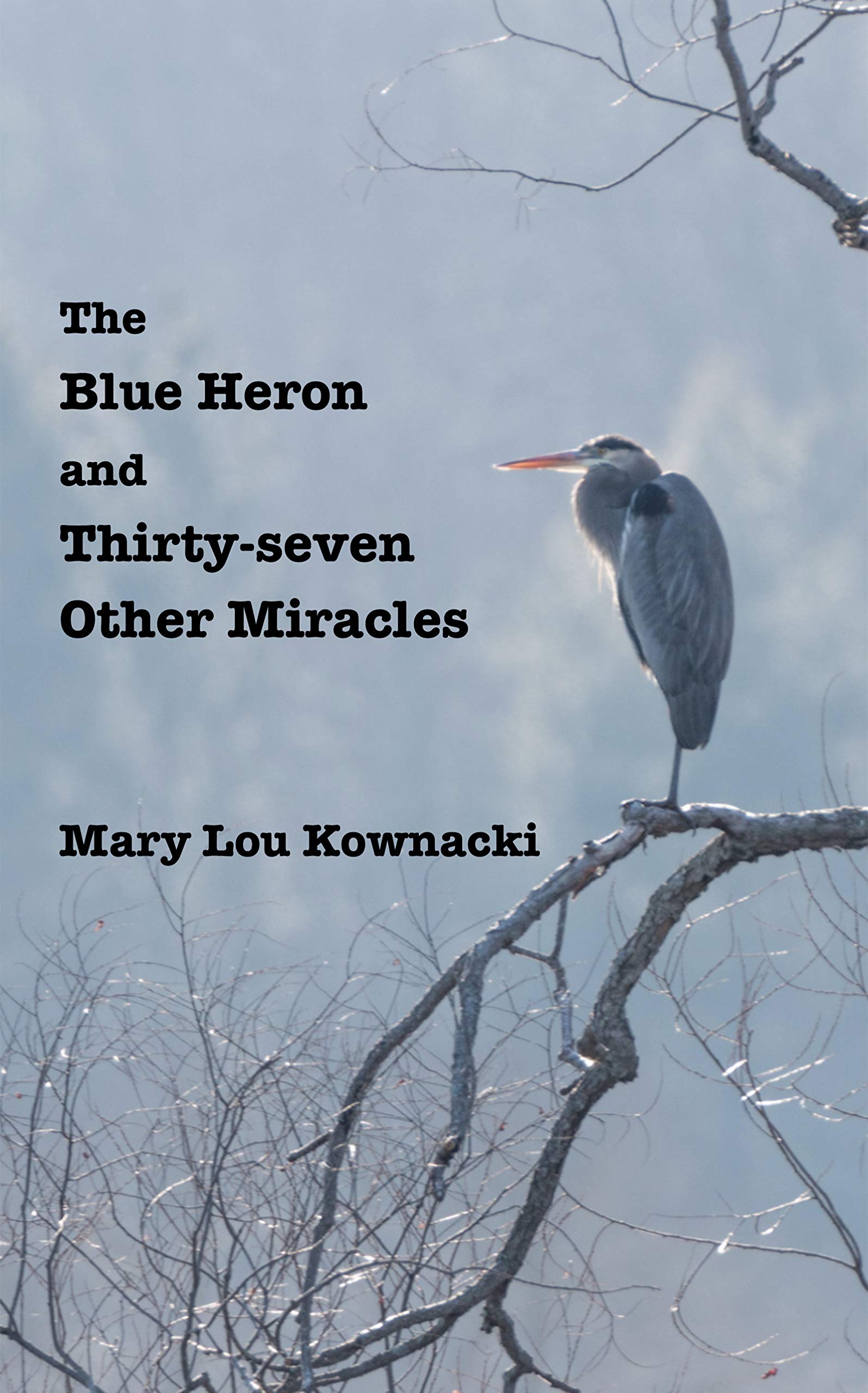 The Blue Heron and Thirty-Seven Other Miracles by Mary Lou Kownacki ...