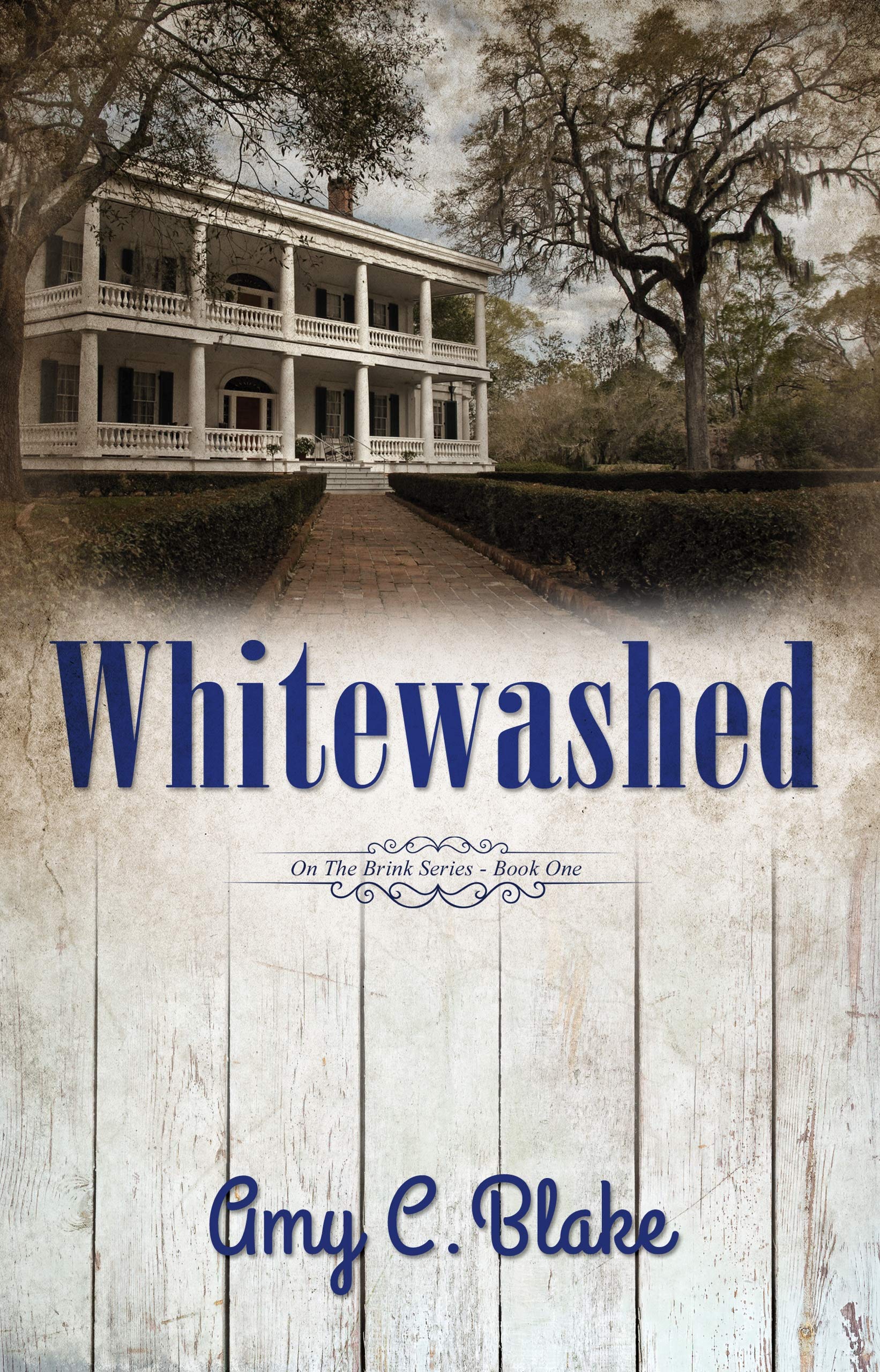 Whitewashed (On the Brink Book 1) by Amy Blake | Goodreads