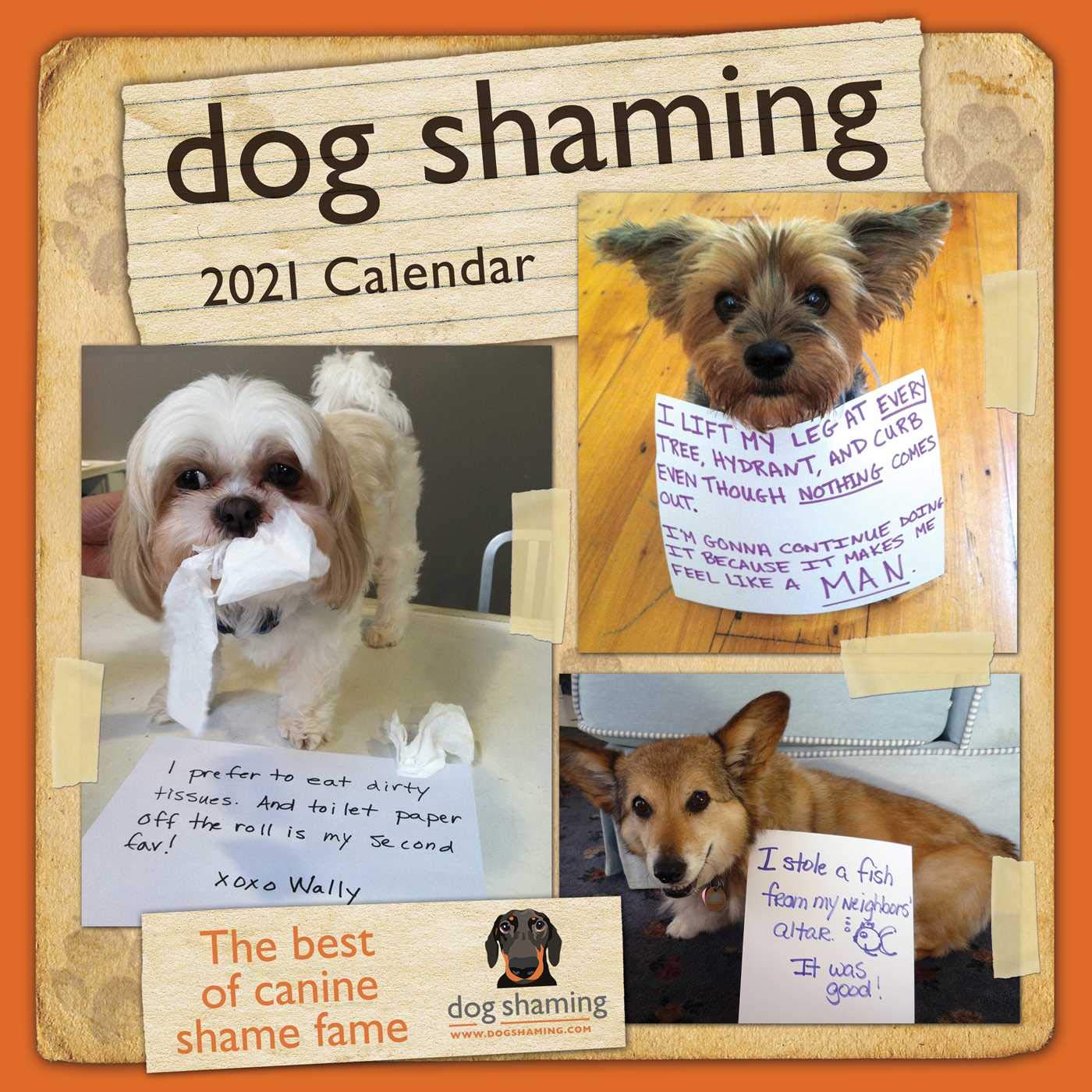 Dog Shaming 2021 Wall Calendar by Pascale Lemire | Goodreads