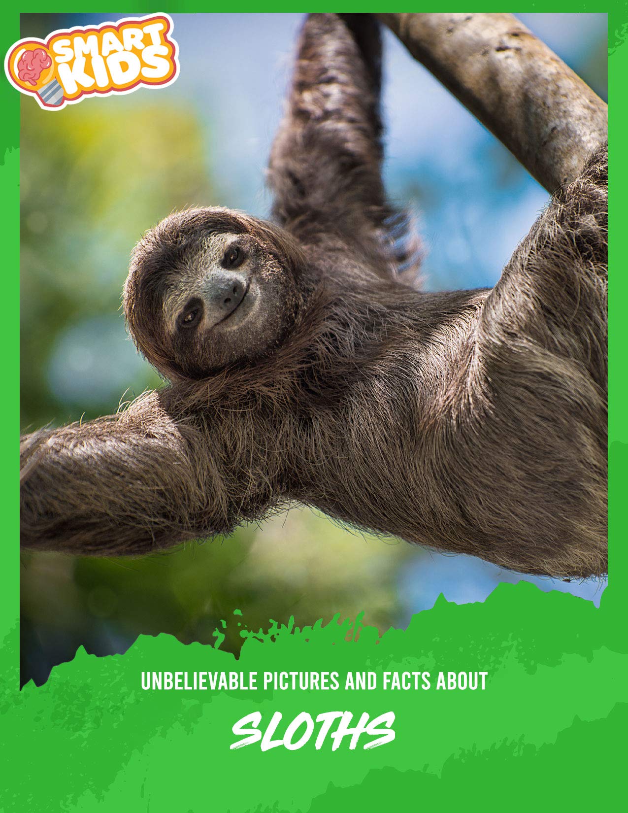 Unbelievable Pictures and Facts About Sloths by Olivia Greenwood ...