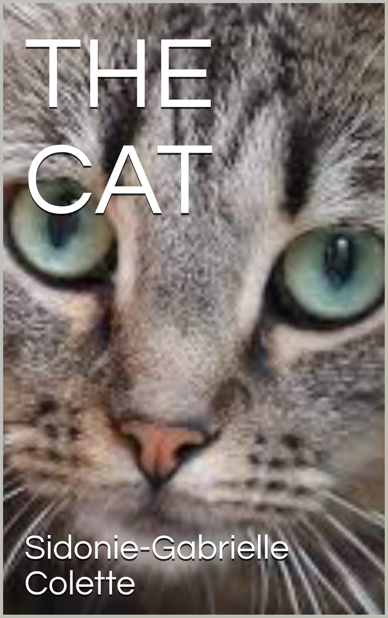 THE CAT by Colette Gauthier-Villars | Goodreads