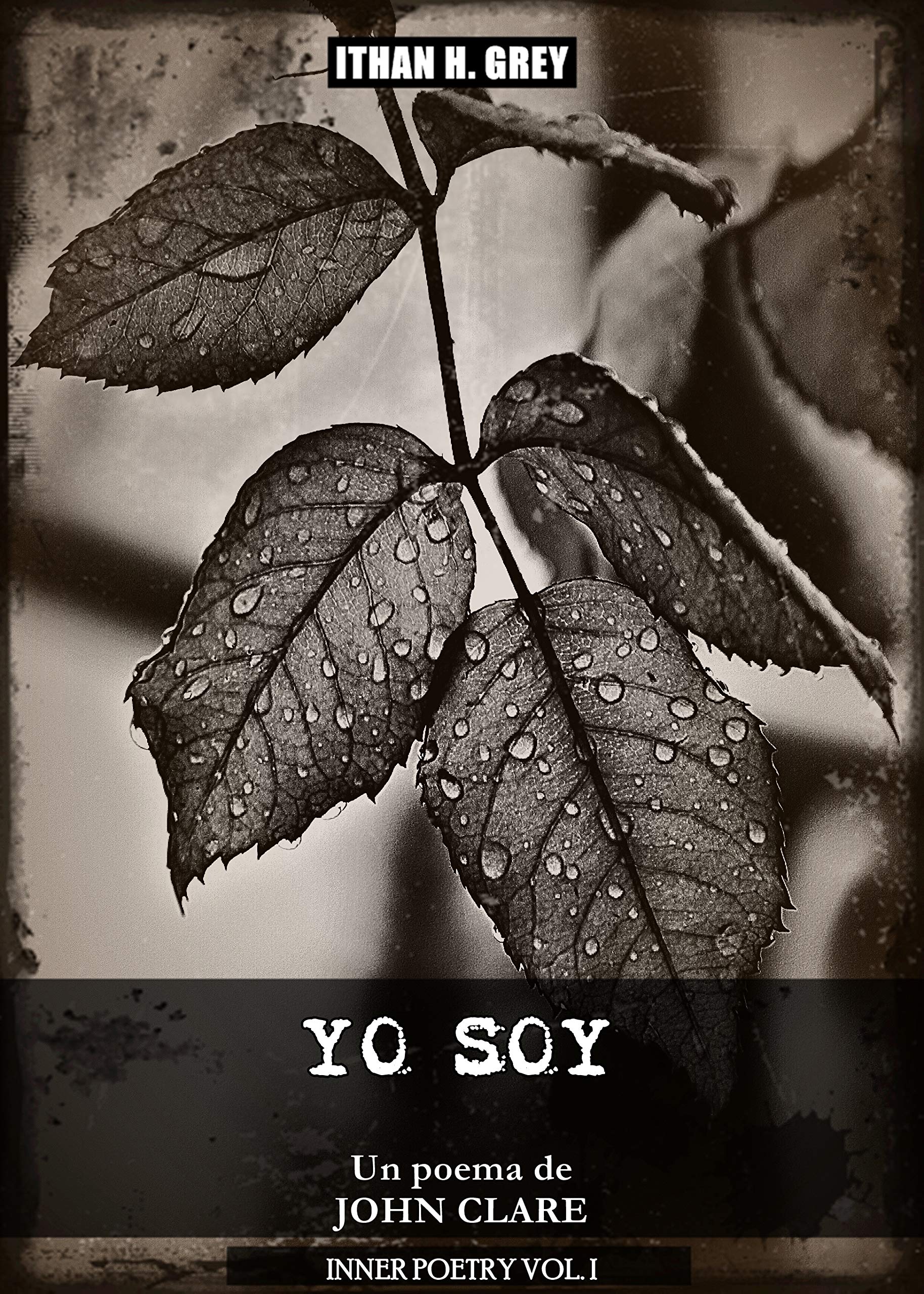 Yo Soy: Un poema de John Clare (Traducción, portada, notas y contexto ...