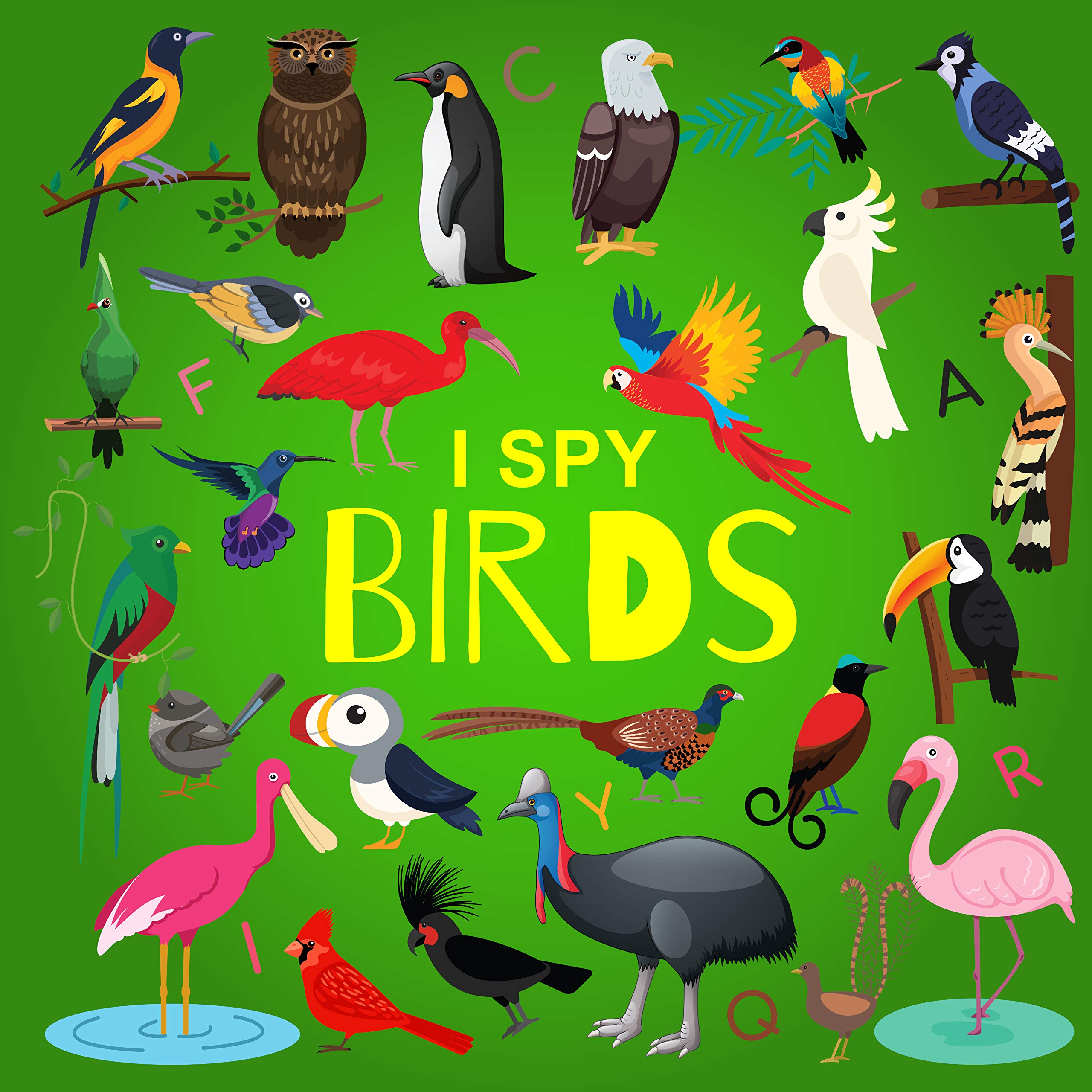 I Spy Birds: A Fun Guessing Game Picture Book for Kids Ages 2-5 ...