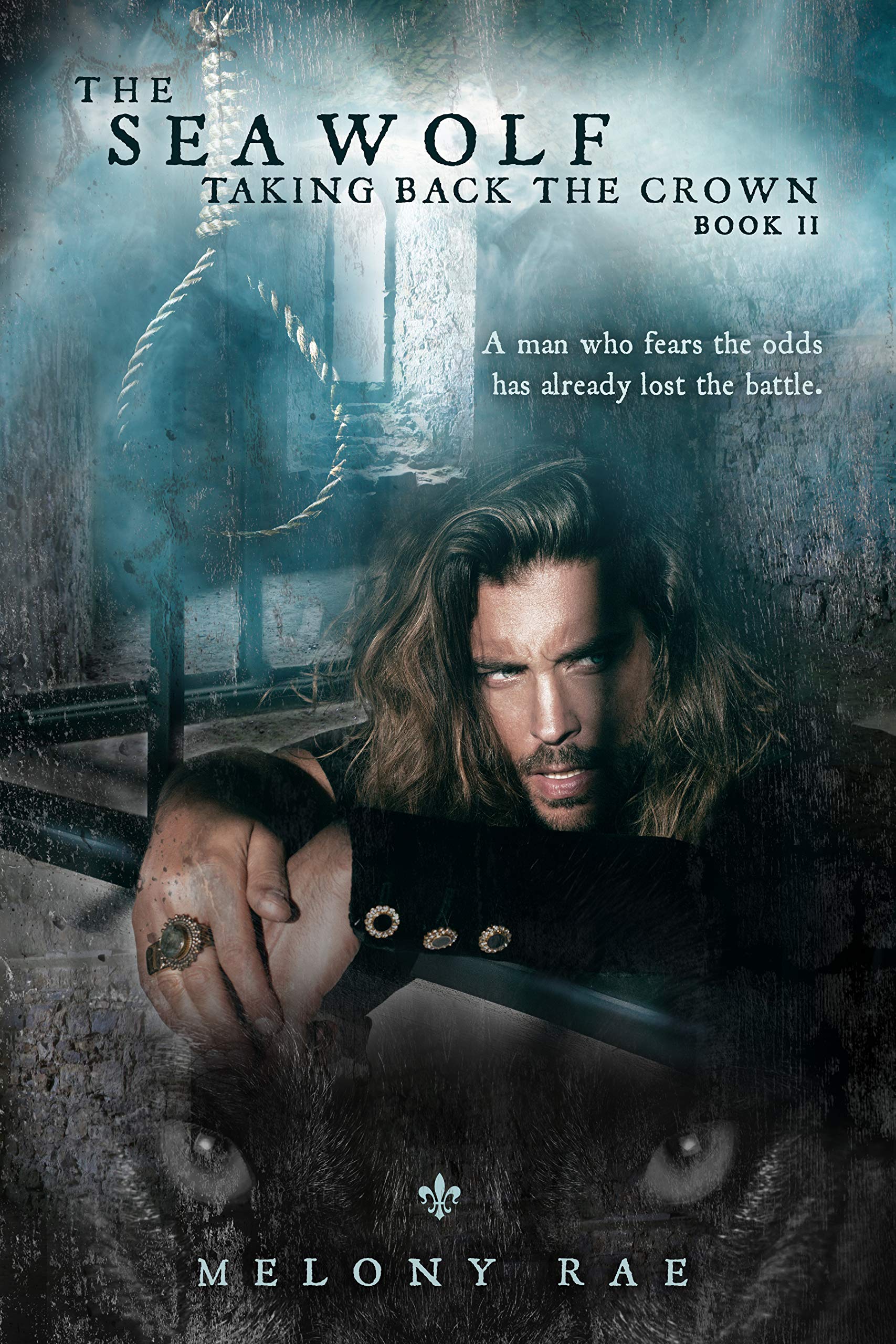 The Sea Wolf: Taking Back the Crown: Book 2 by Melony Rae | Goodreads