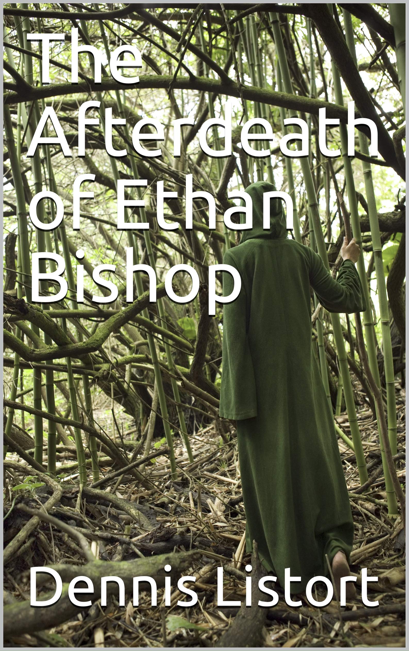 The Afterdeath of Ethan Bishop by Dennis Listort | Goodreads