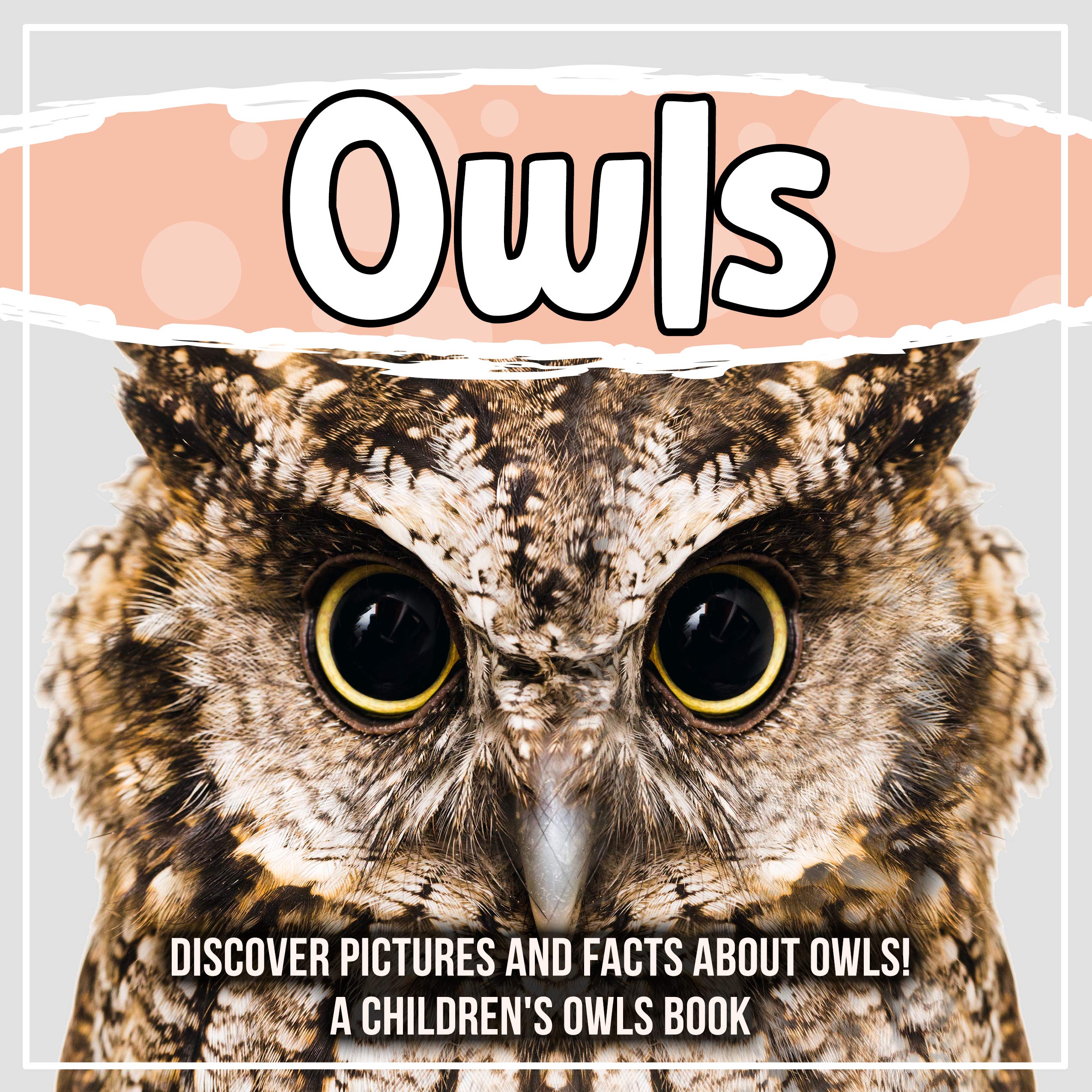 Owls: Discover Pictures and Facts About Owls! A Children's Owls Book by ...