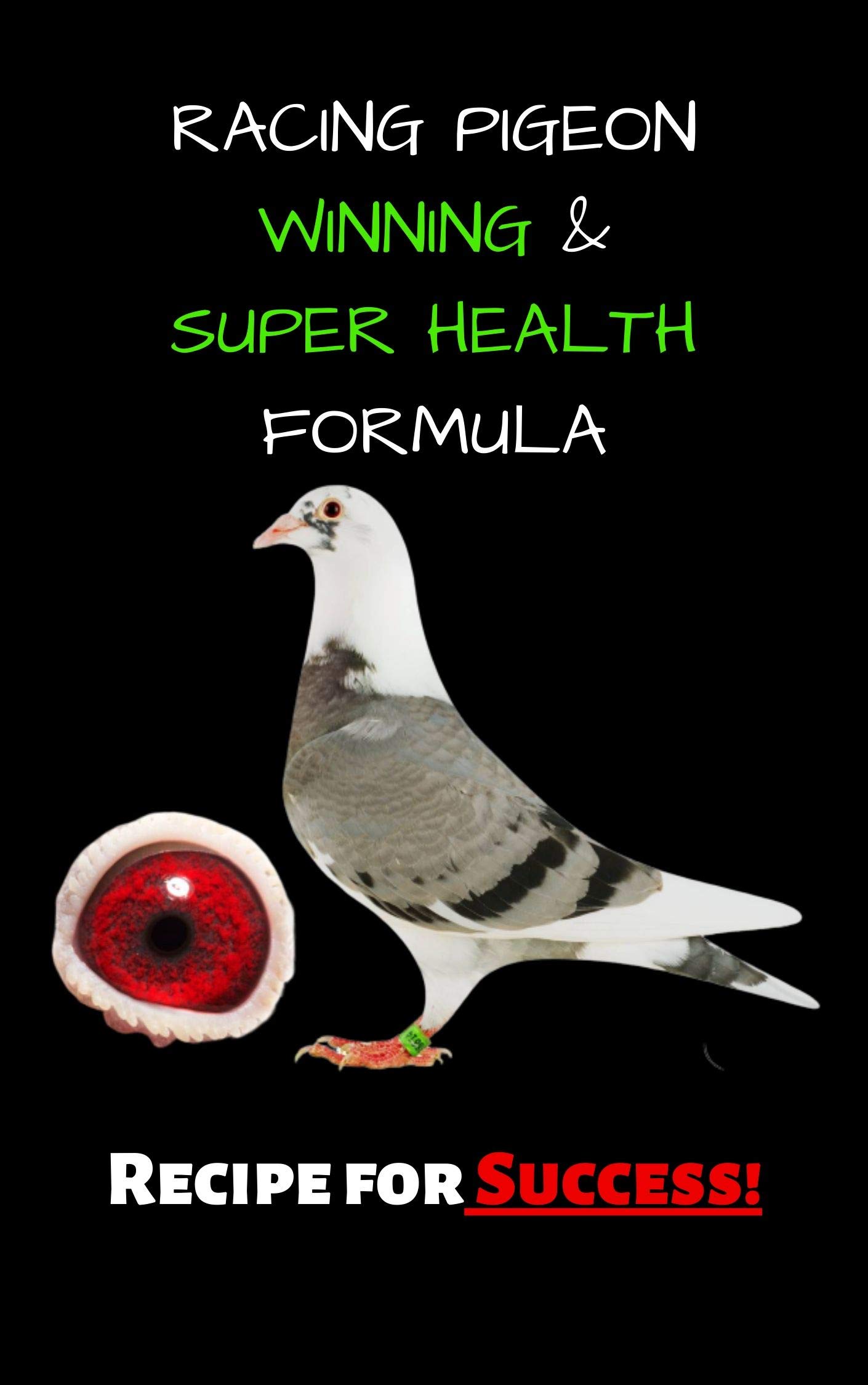 Racing Pigeon Winning and Super Health Formula by Racing Pigeon ...