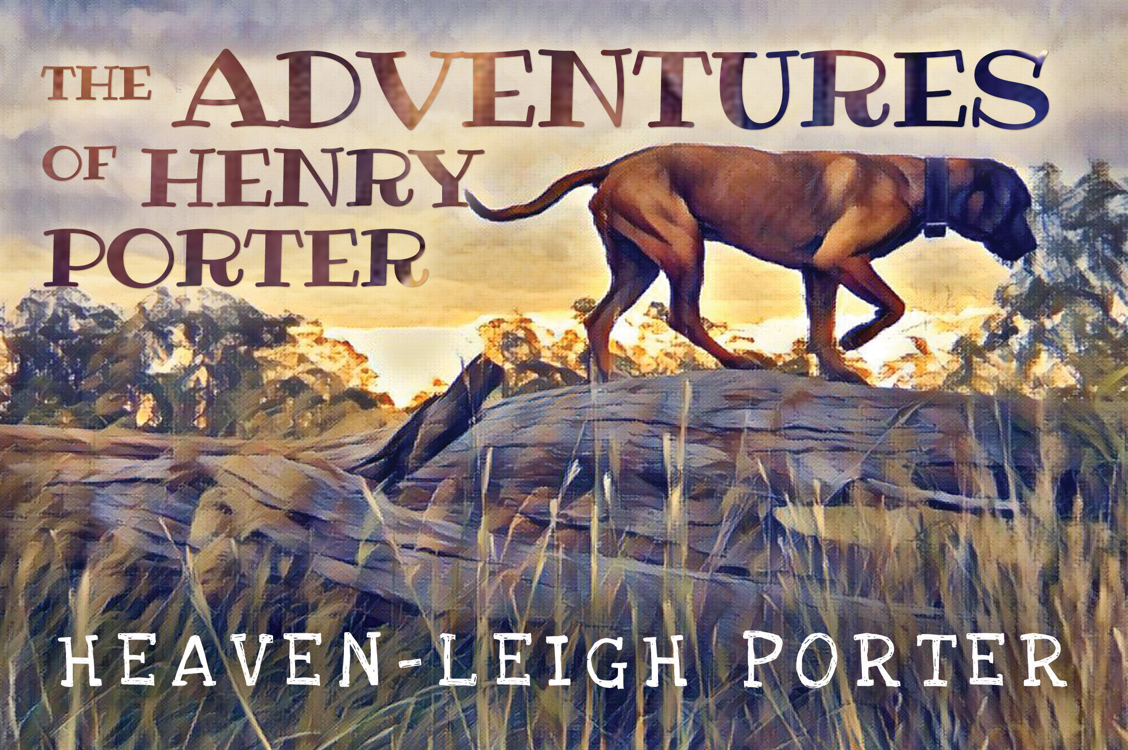 The Adventures of Henry Porter by Heaven-Leigh Porter | Goodreads