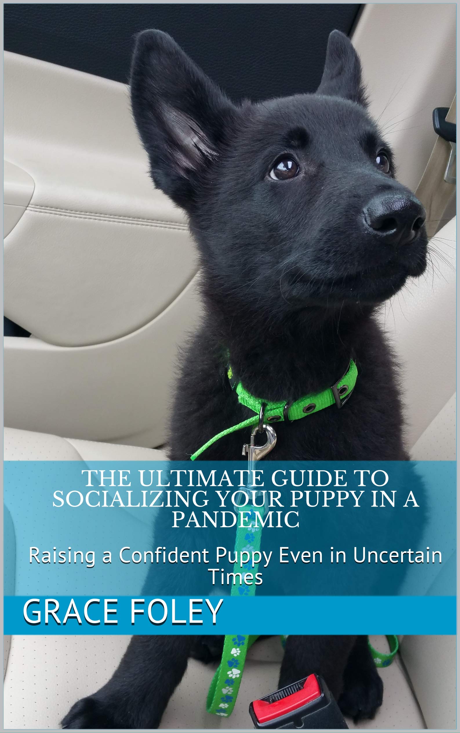 The Ultimate Guide to Socializing Your Puppy In a Pandemic: Raising a ...