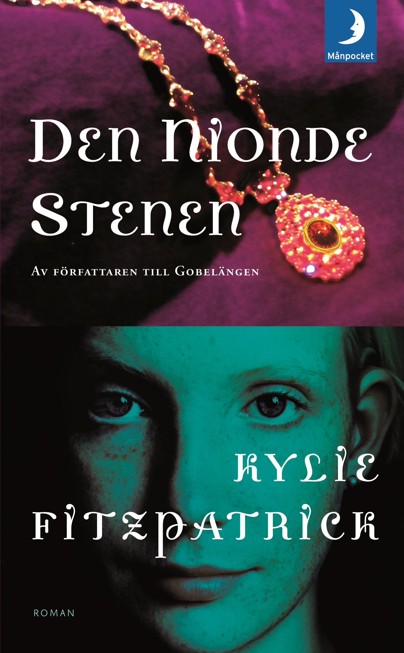 Den nionde stenen by Kylie Fitzpatrick | Goodreads