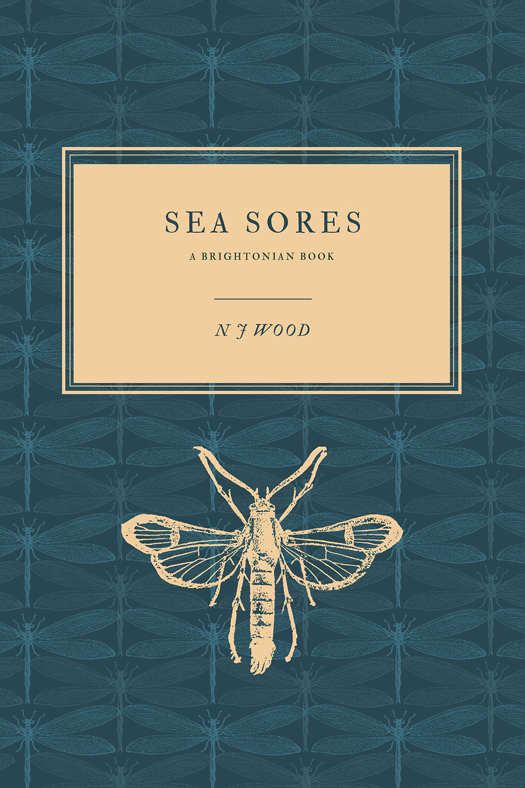 Sea Sores: A Brightonian Book by Nick Wood | Goodreads