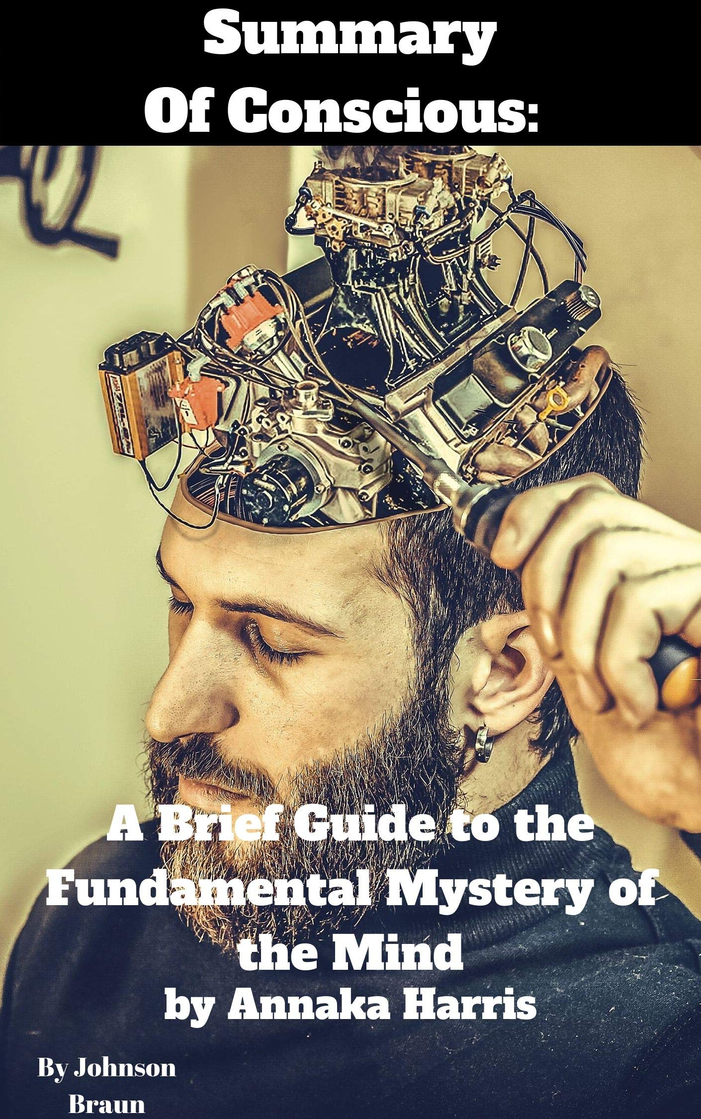 Summary Of Conscious A Brief Guide to the Fundamental Mystery of the ...
