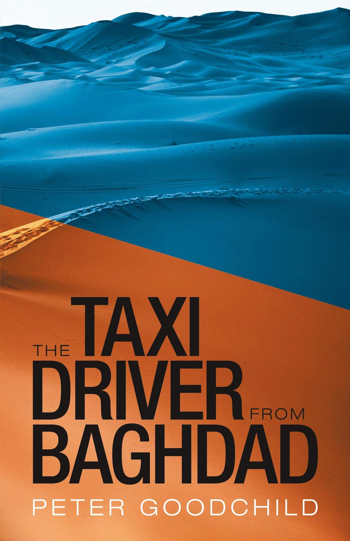 The Taxi Driver from Baghdad by Peter Goodchild | Goodreads