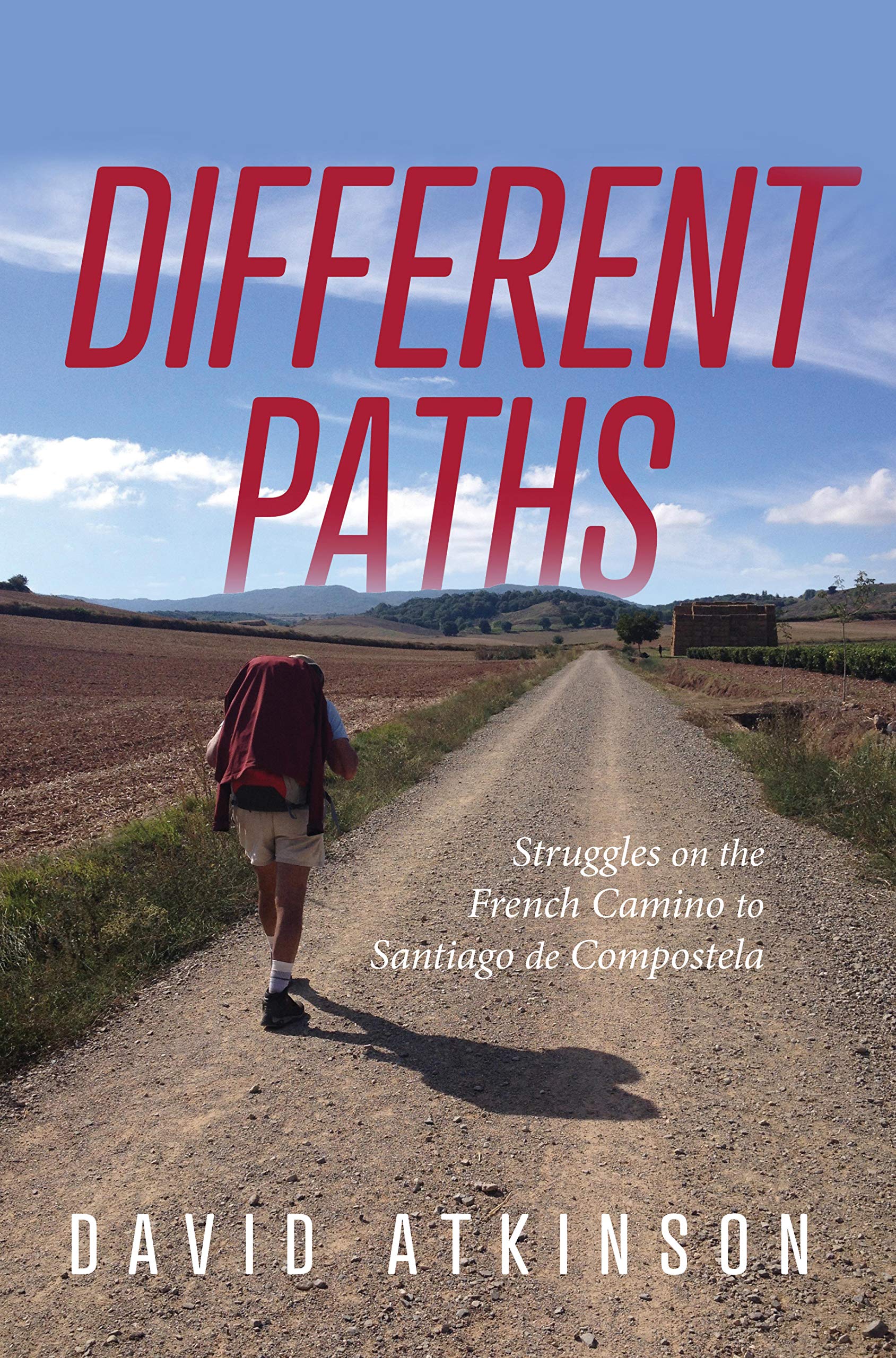 Different Paths: Struggles on the French Camino to Santiago de ...