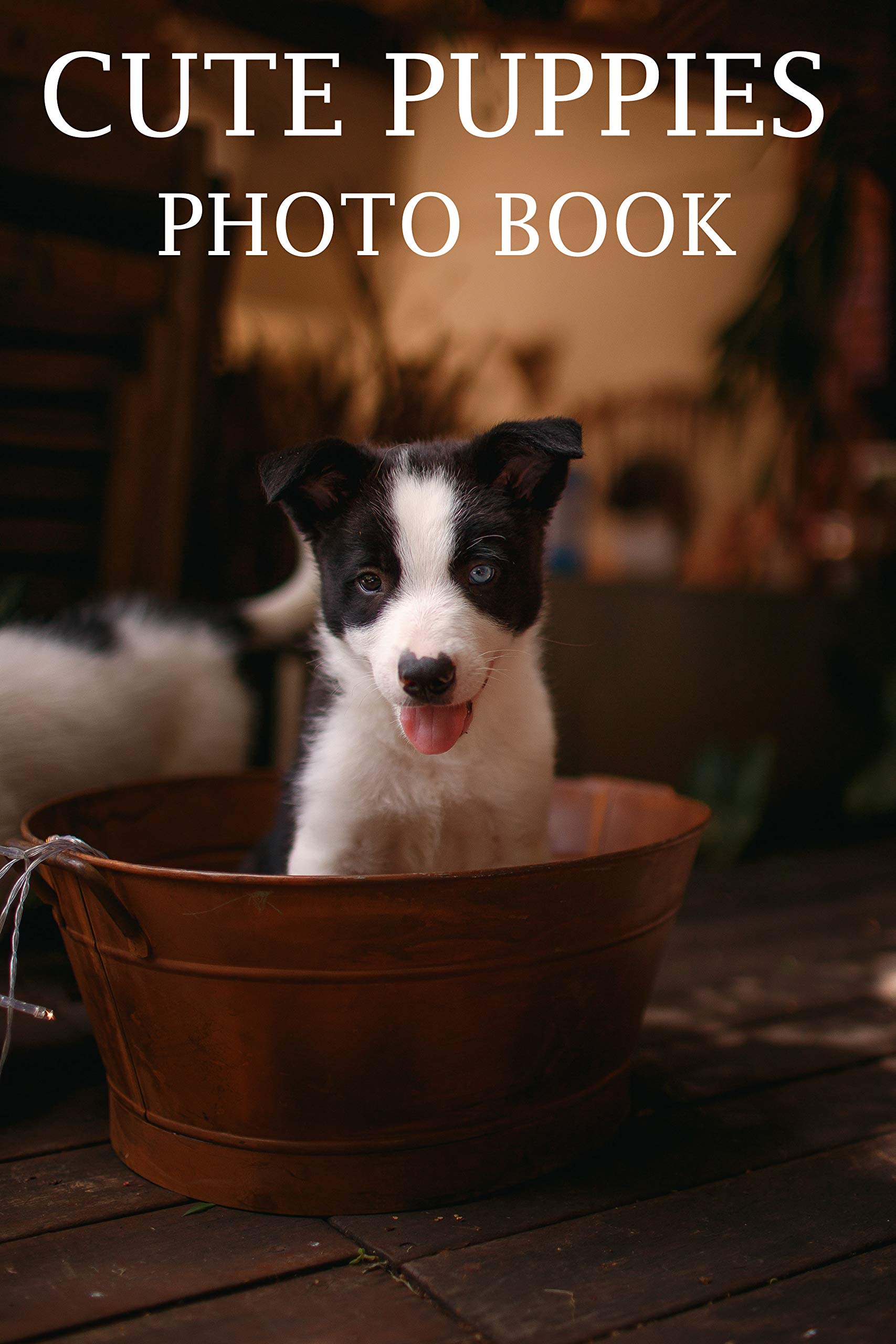 Cute Puppies: Photo Book by Danny Davis | Goodreads